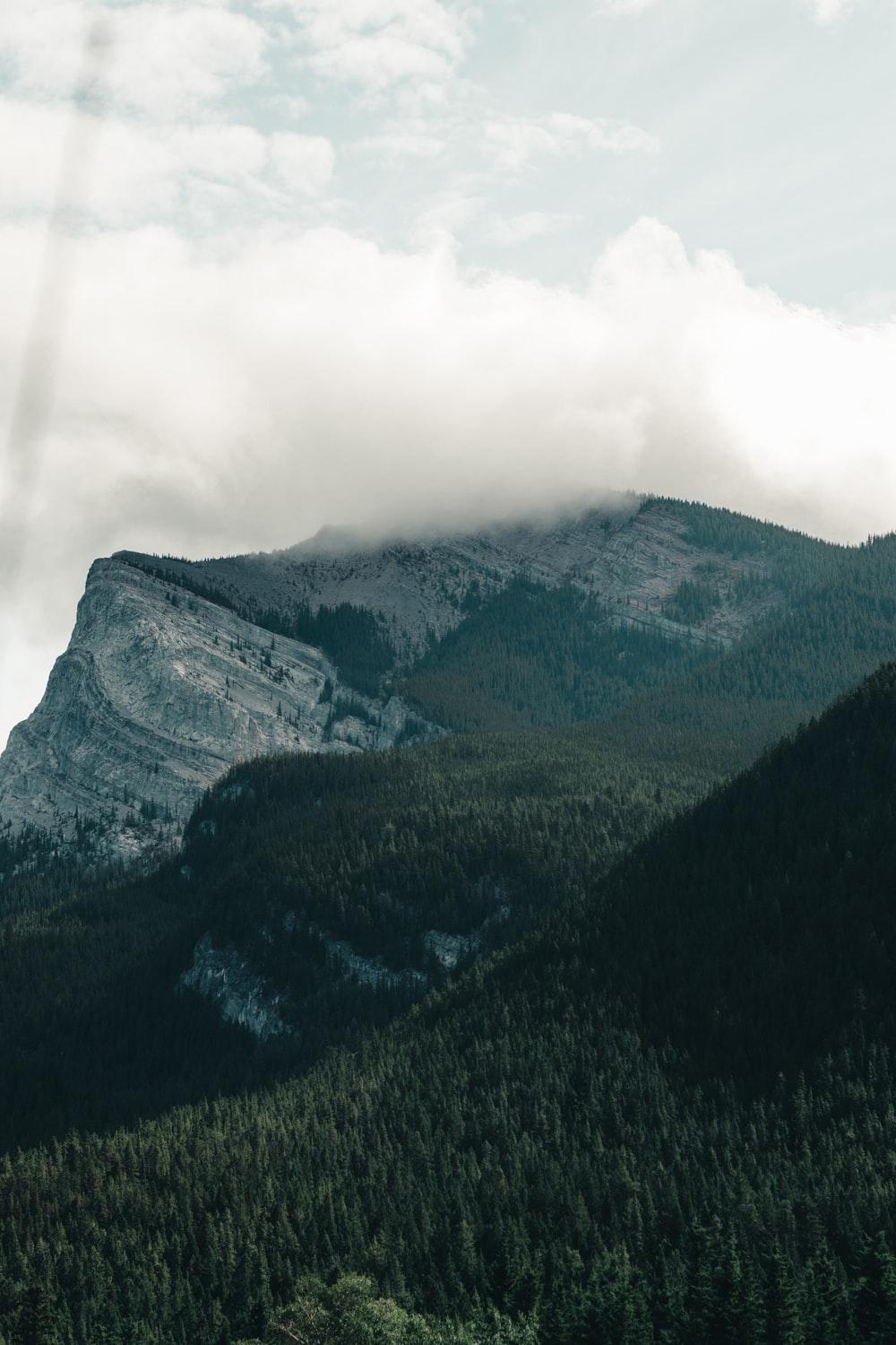 Canadian Forest Wallpapers - Top Free Canadian Forest Backgrounds ...