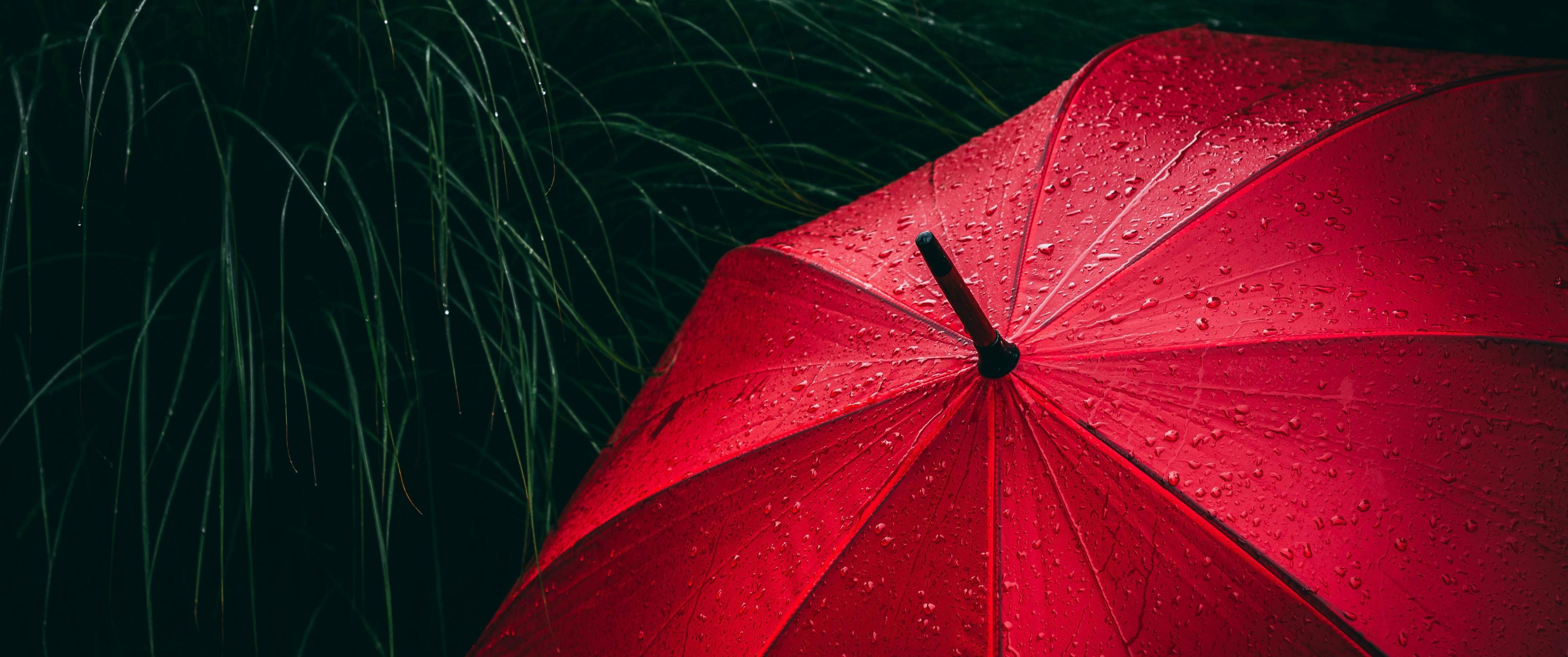 4K Rainy Day Wallpapers - Top Free 4K Rainy Day Backgrounds ...