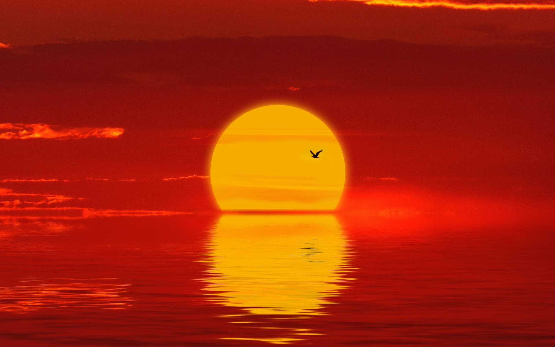 Sun Setting Wallpapers - Top Free Sun Setting Backgrounds - WallpaperAccess