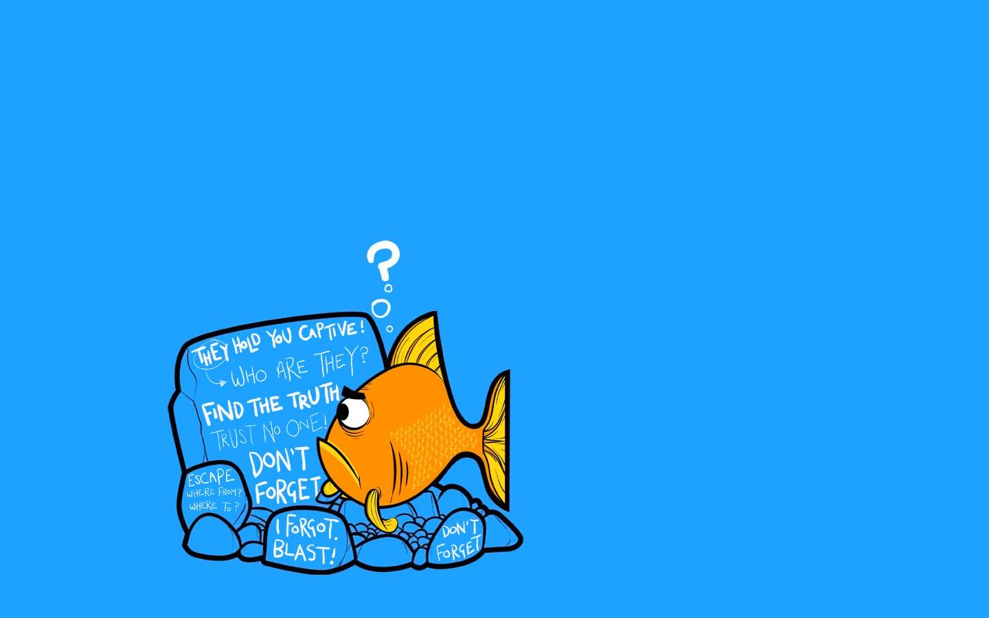 Funny Fish Wallpapers - Top Free Funny Fish Backgrounds - WallpaperAccess