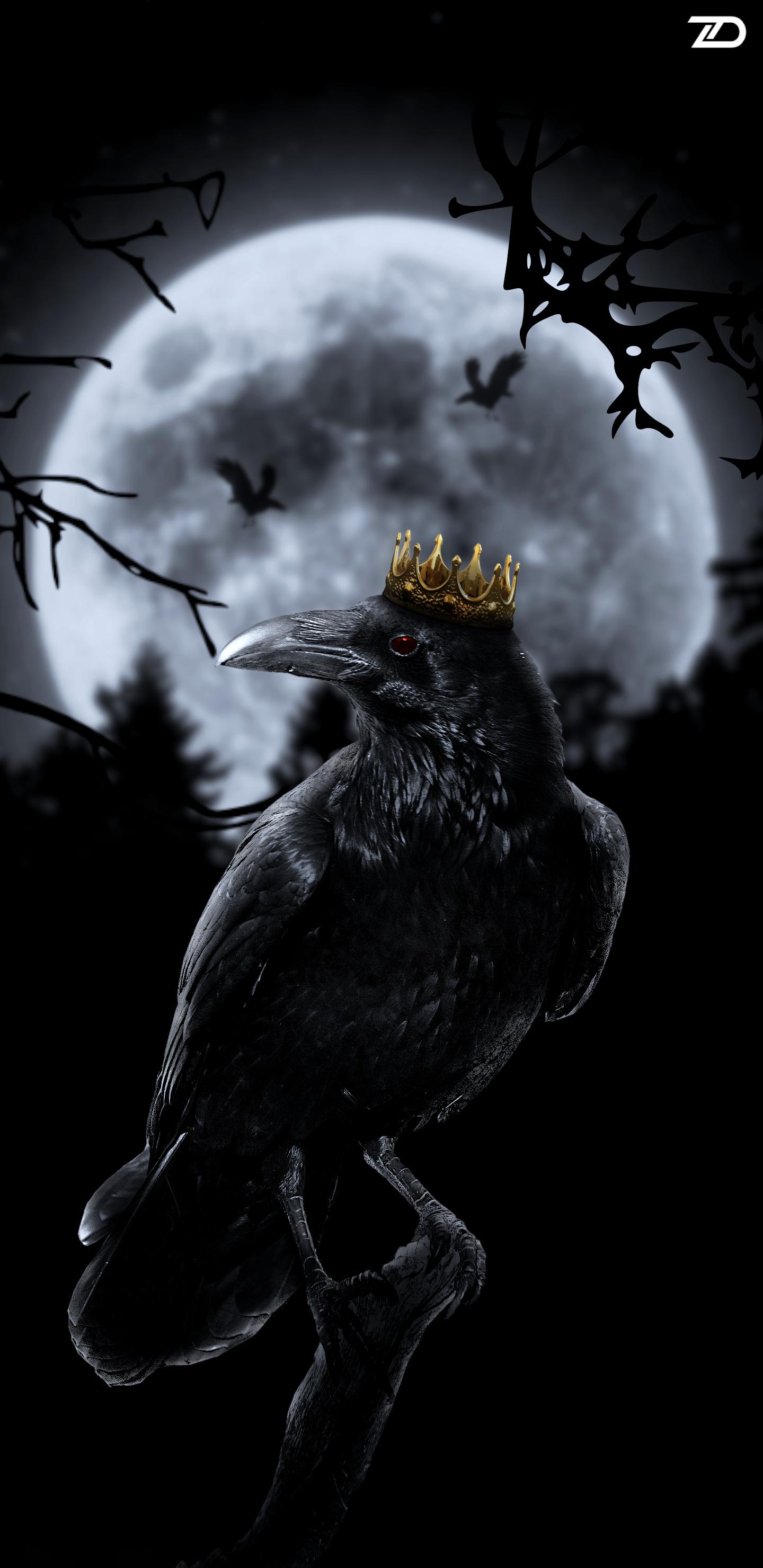 Samurai and Raven Wallpapers - Top Free Samurai and Raven Backgrounds ...