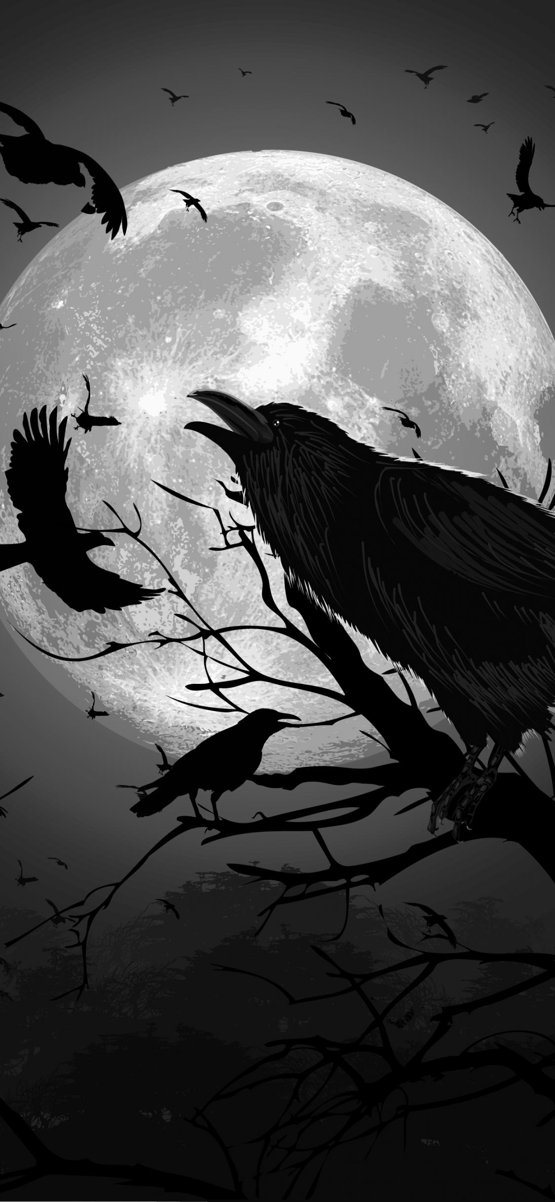 Samurai and Raven Wallpapers - Top Free Samurai and Raven Backgrounds ...