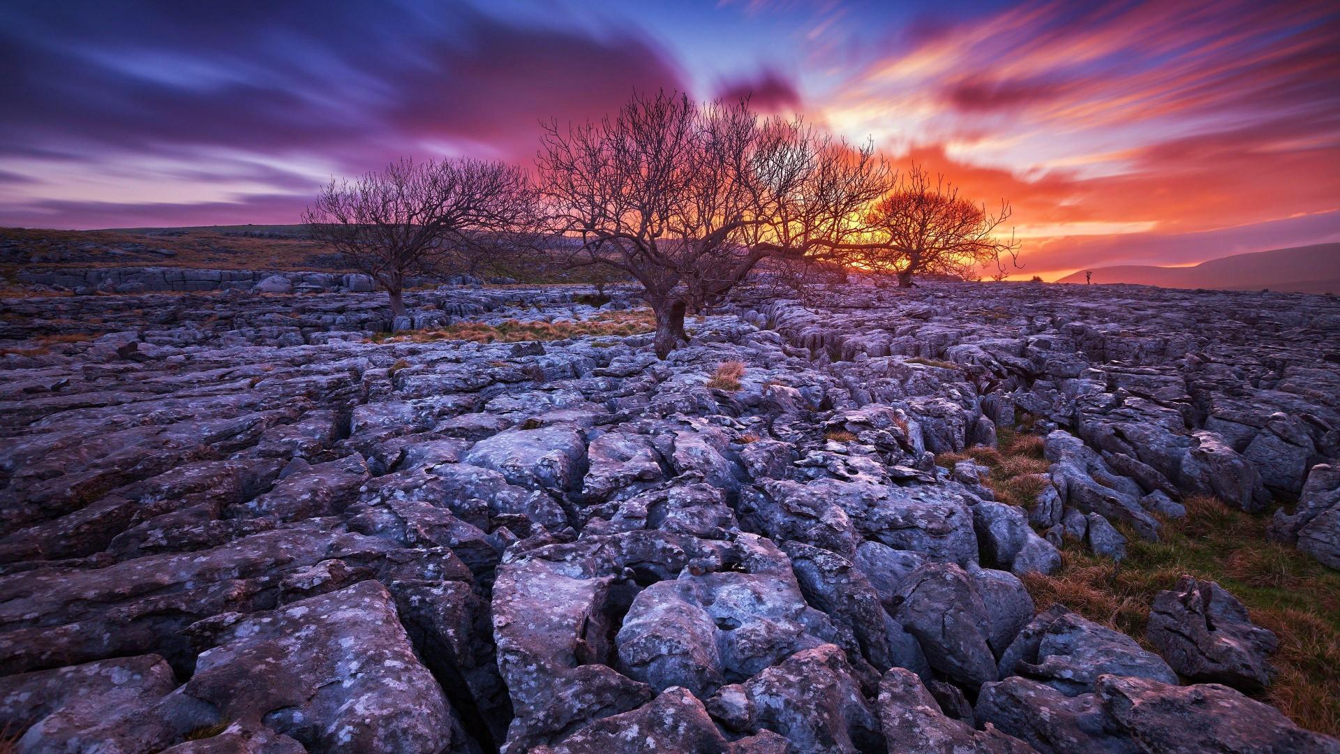 Stone Garden Wallpapers - Top Free Stone Garden Backgrounds ...