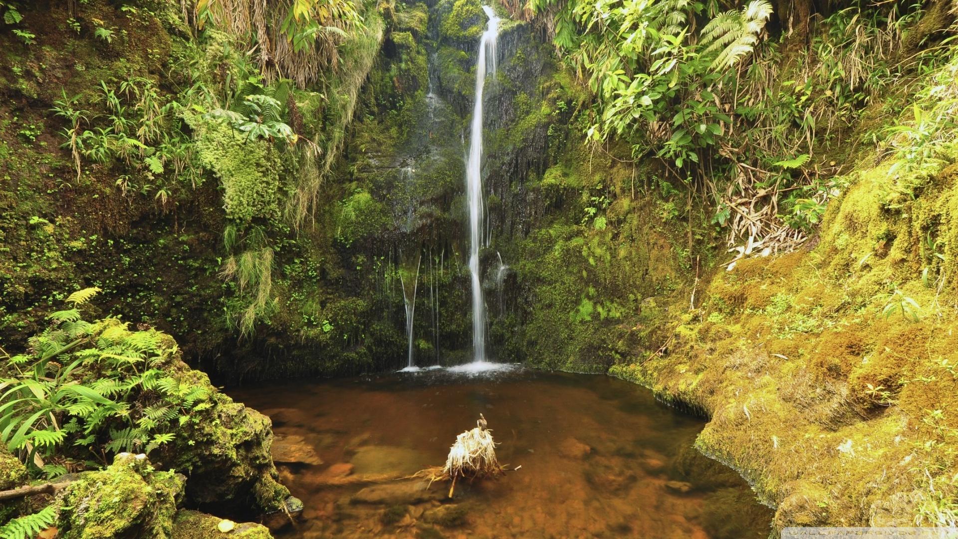 Hawaii Waterfalls Wallpapers - Top Free Hawaii Waterfalls Backgrounds ...