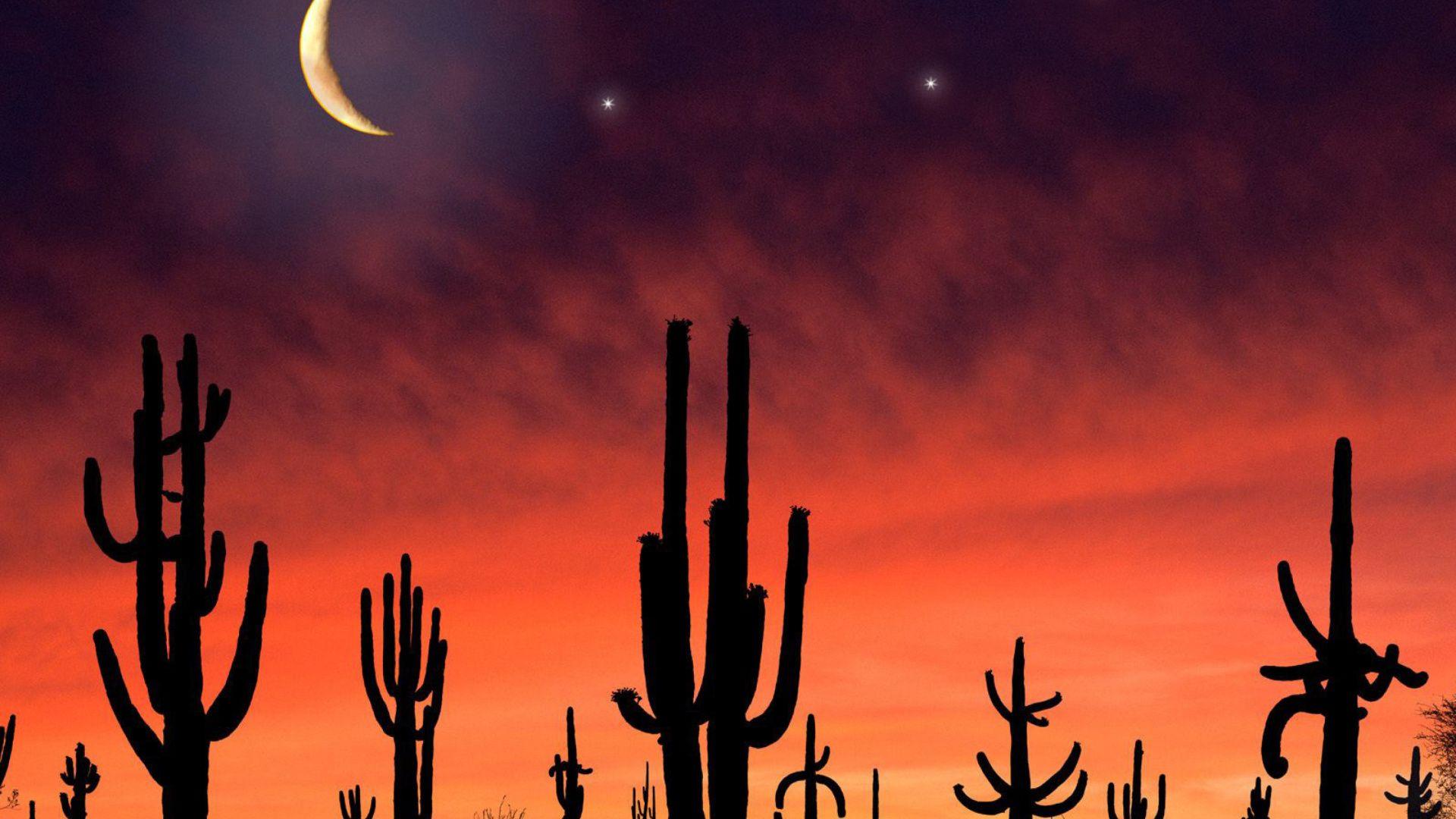 Arizona Night HD Wallpapers - Top Free Arizona Night HD Backgrounds ...