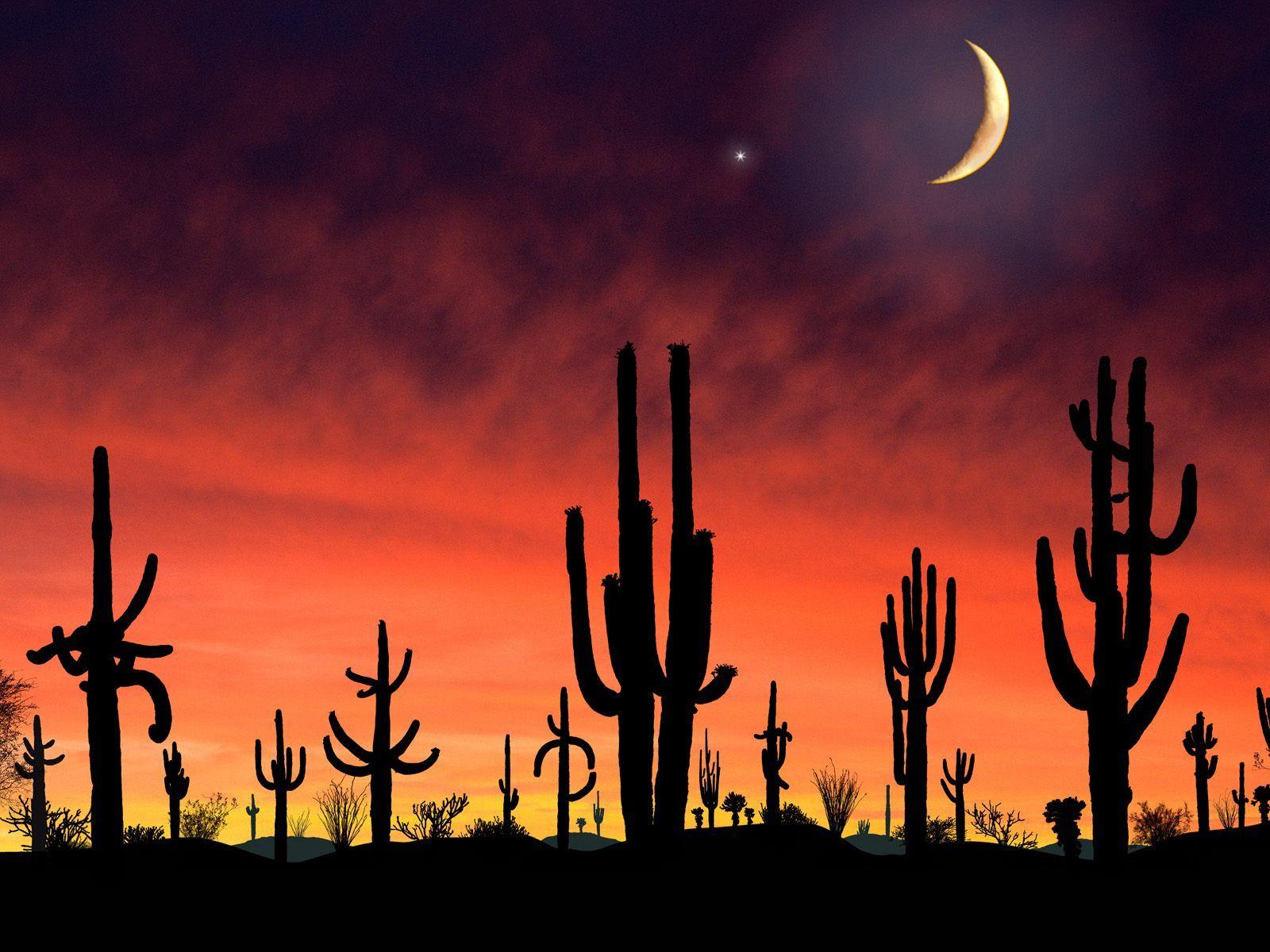 Arizona Night HD Wallpapers - Top Free Arizona Night HD Backgrounds ...