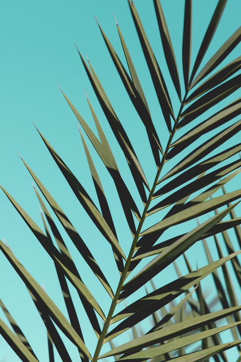 Clean Green Wallpapers - Top Free Clean Green Backgrounds - WallpaperAccess