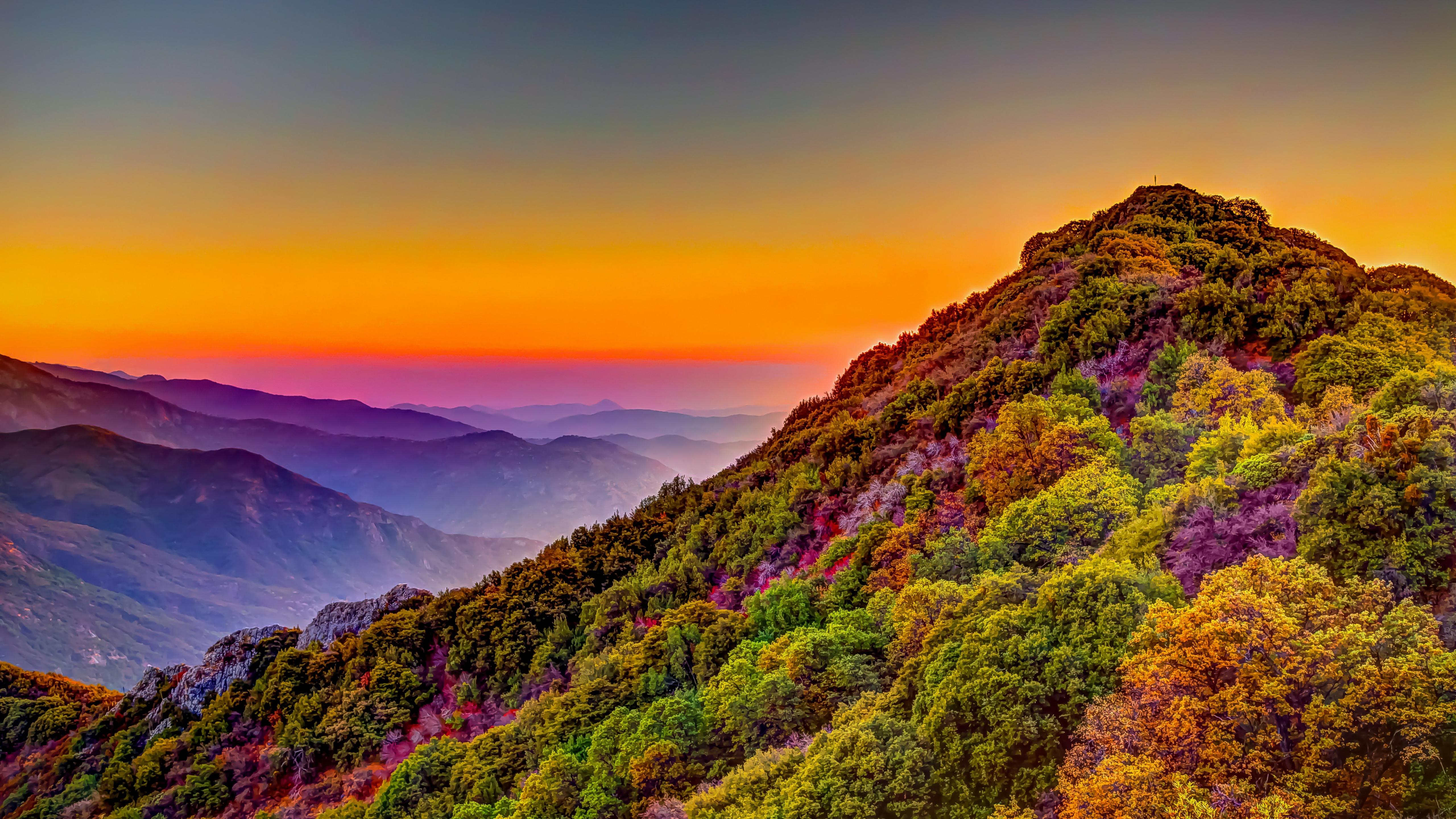 Sequoia National Park 4K Wallpapers - Top Free Sequoia National Park 4K ...