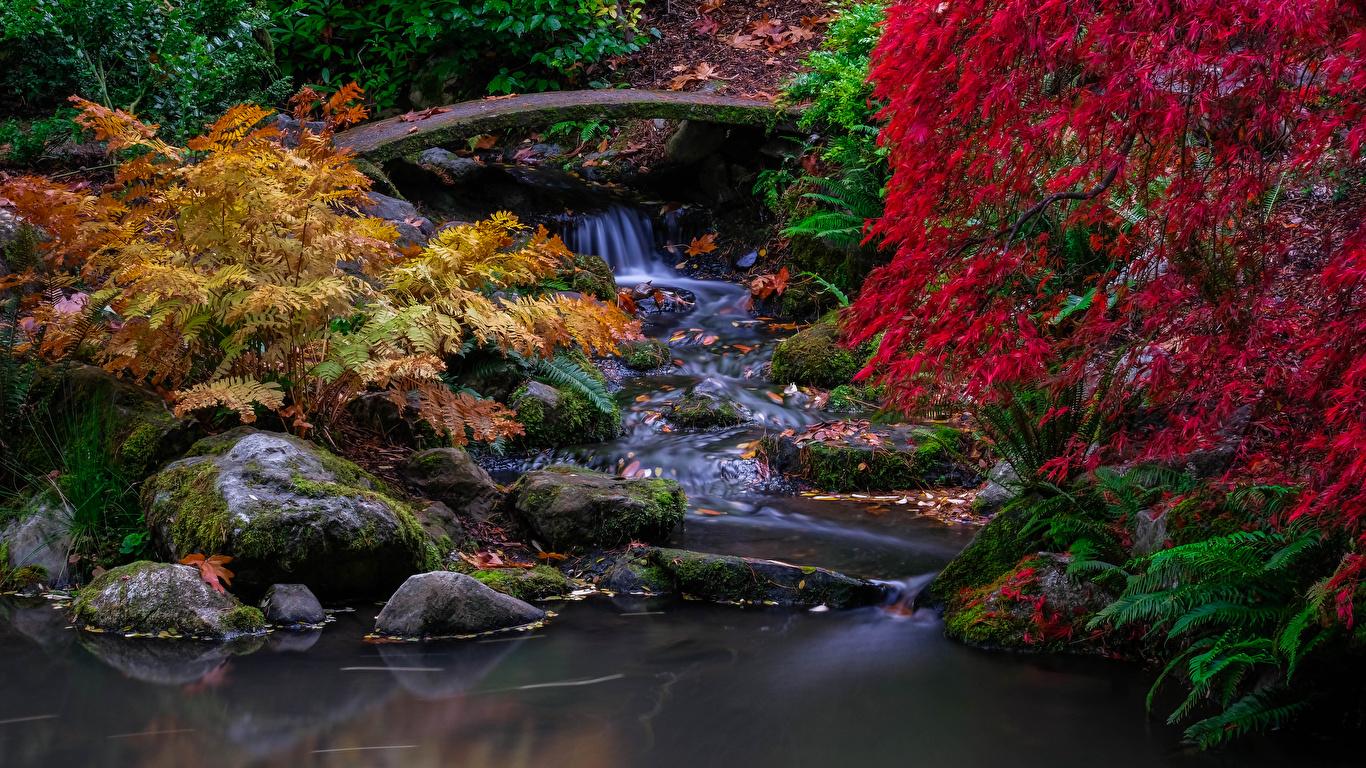 Seattle Scenery Wallpapers - Top Free Seattle Scenery Backgrounds ...