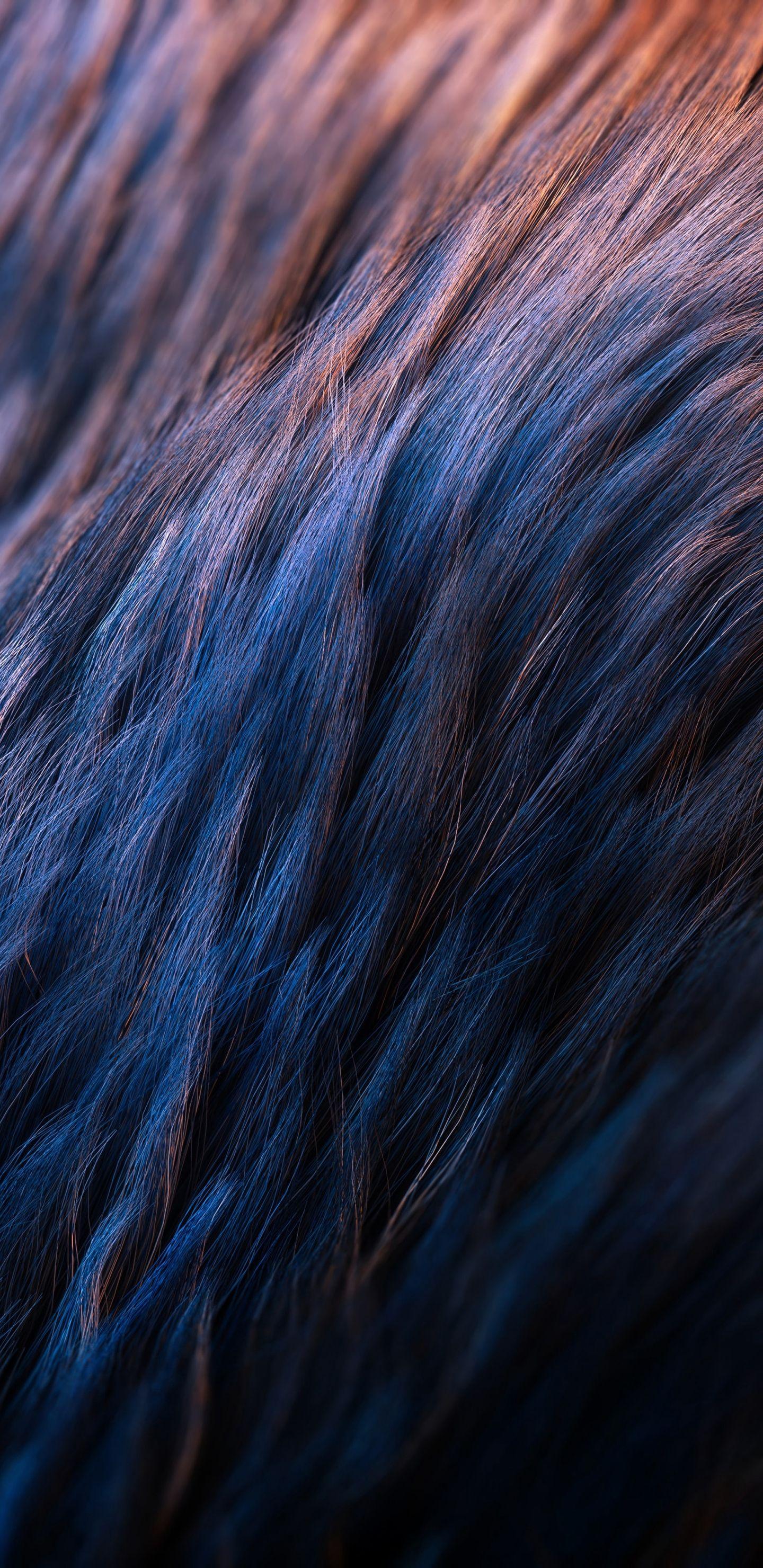 Animal Texture Wallpapers - Top Free Animal Texture Backgrounds ...