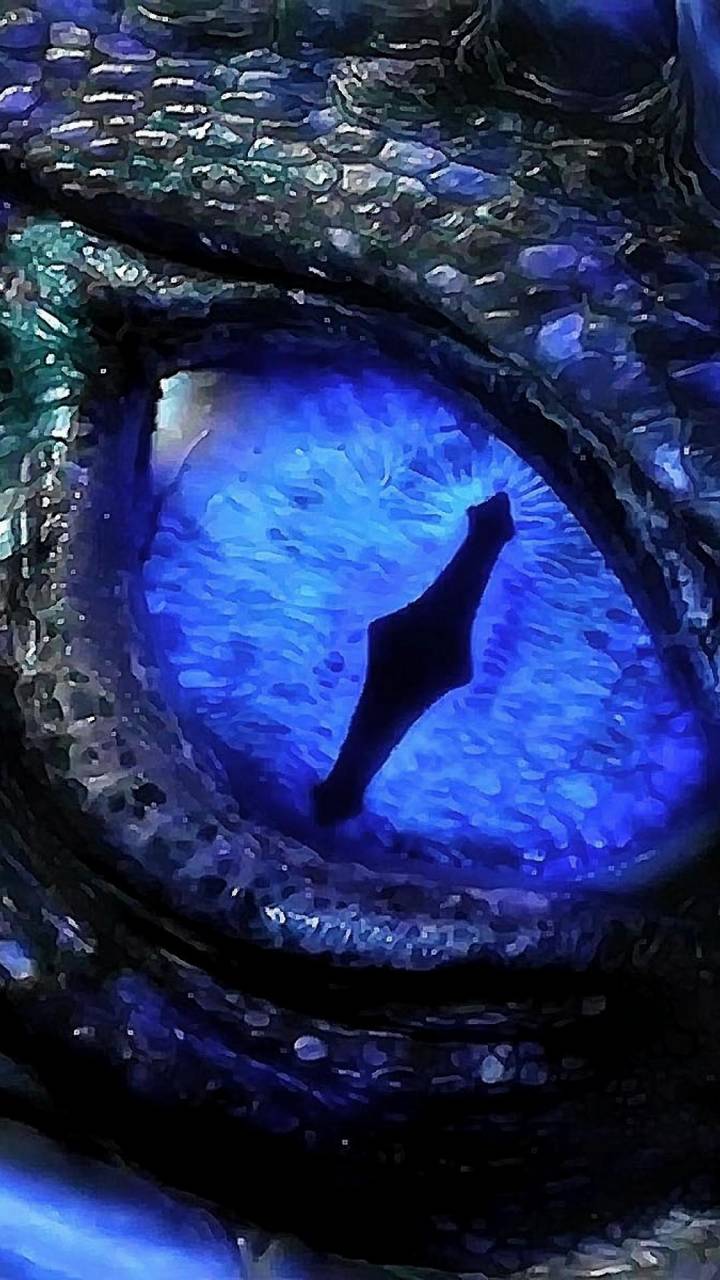 Blue Dragon Eye Wallpapers - Top Free Blue Dragon Eye Backgrounds ...