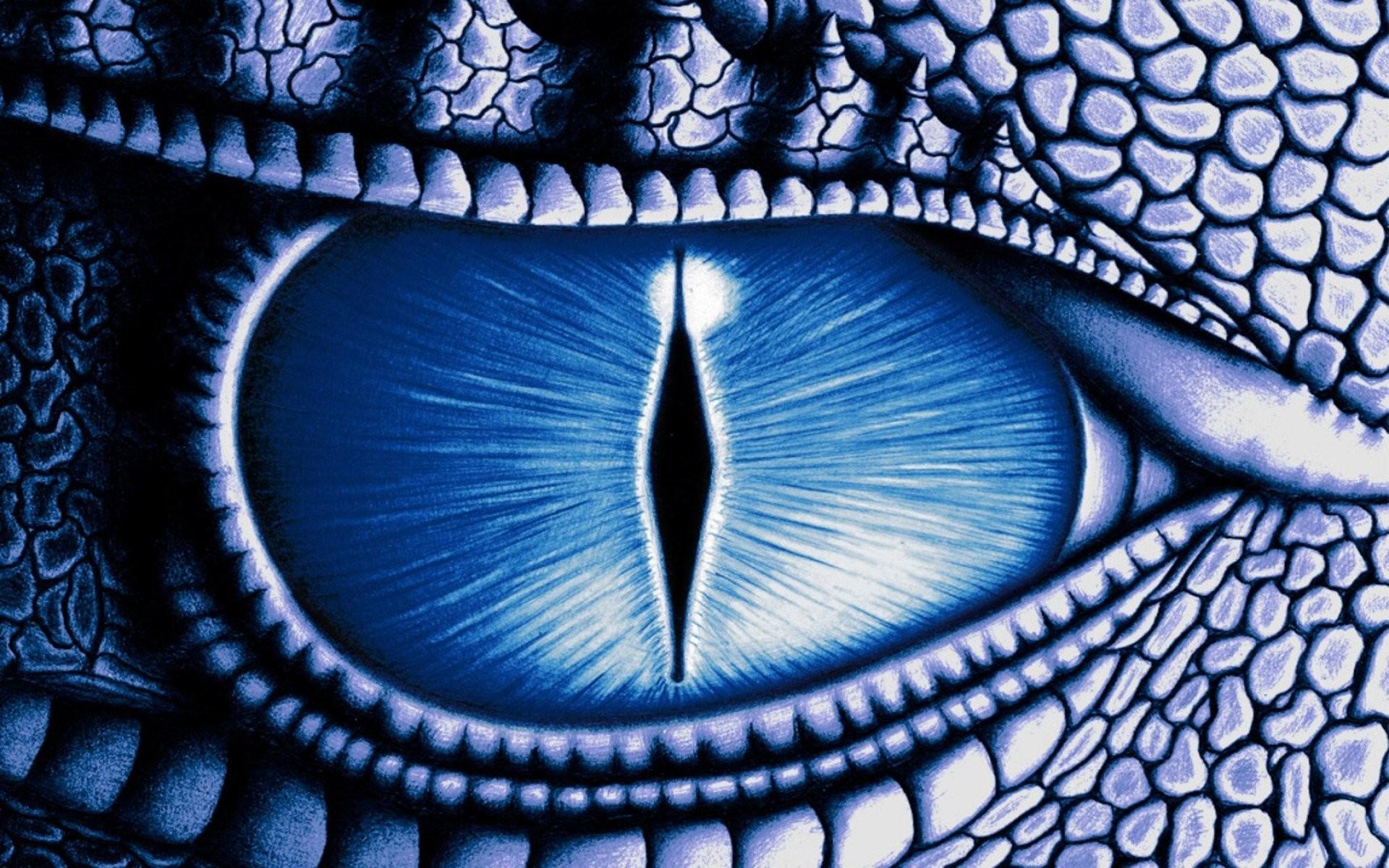 Blue Dragon Eye Wallpapers - Top Free Blue Dragon Eye Backgrounds ...