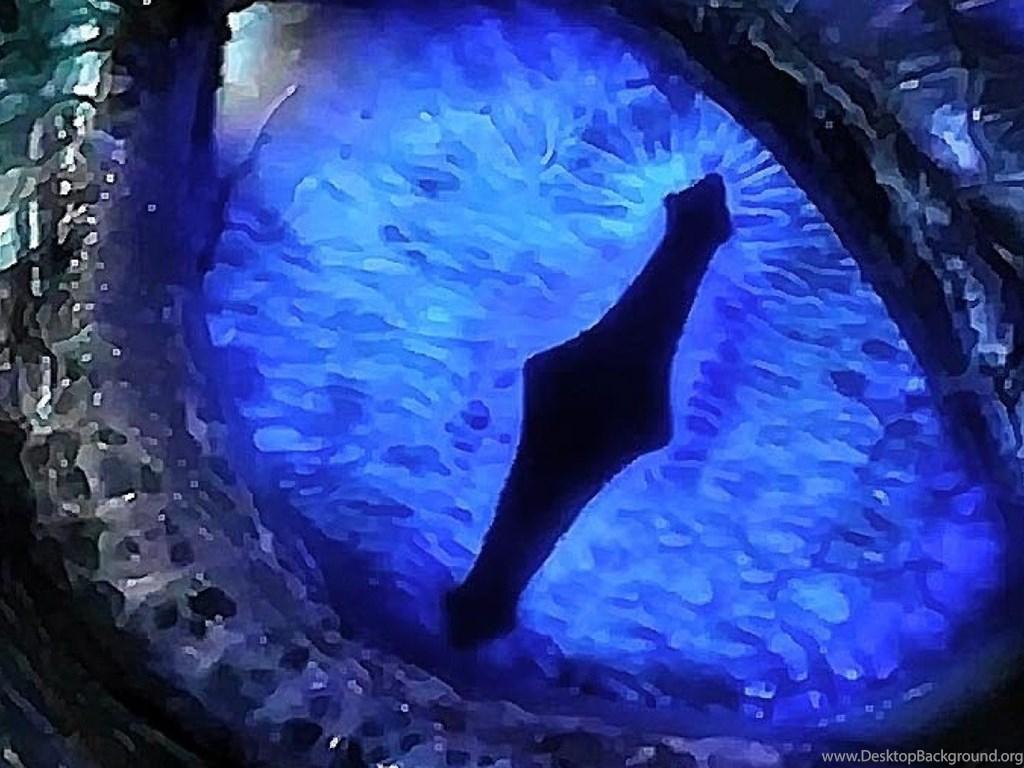 Blue Dragon Eye Wallpapers - Top Free Blue Dragon Eye Backgrounds ...