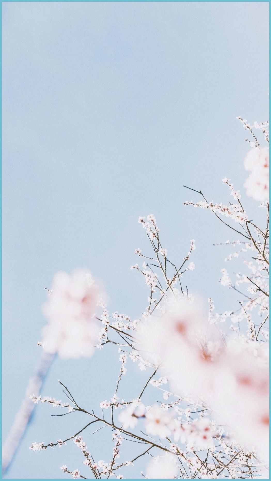 Soft Blue Aesthetic Wallpapers - Top Free Soft Blue Aesthetic ...