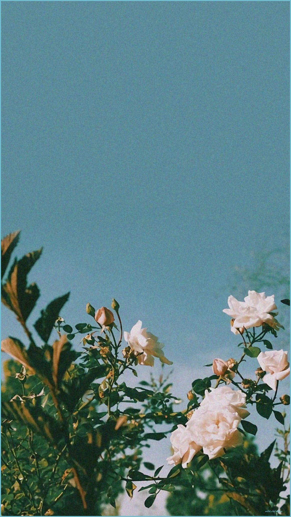 Aesthetic Vintage iPad Wallpapers - Top Free Aesthetic Vintage iPad ...