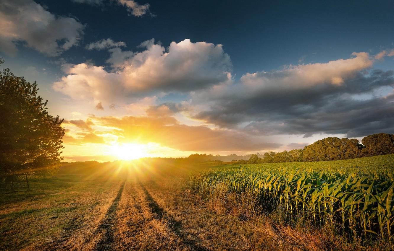 Summer Morning Wallpapers - Top Free Summer Morning Backgrounds ...