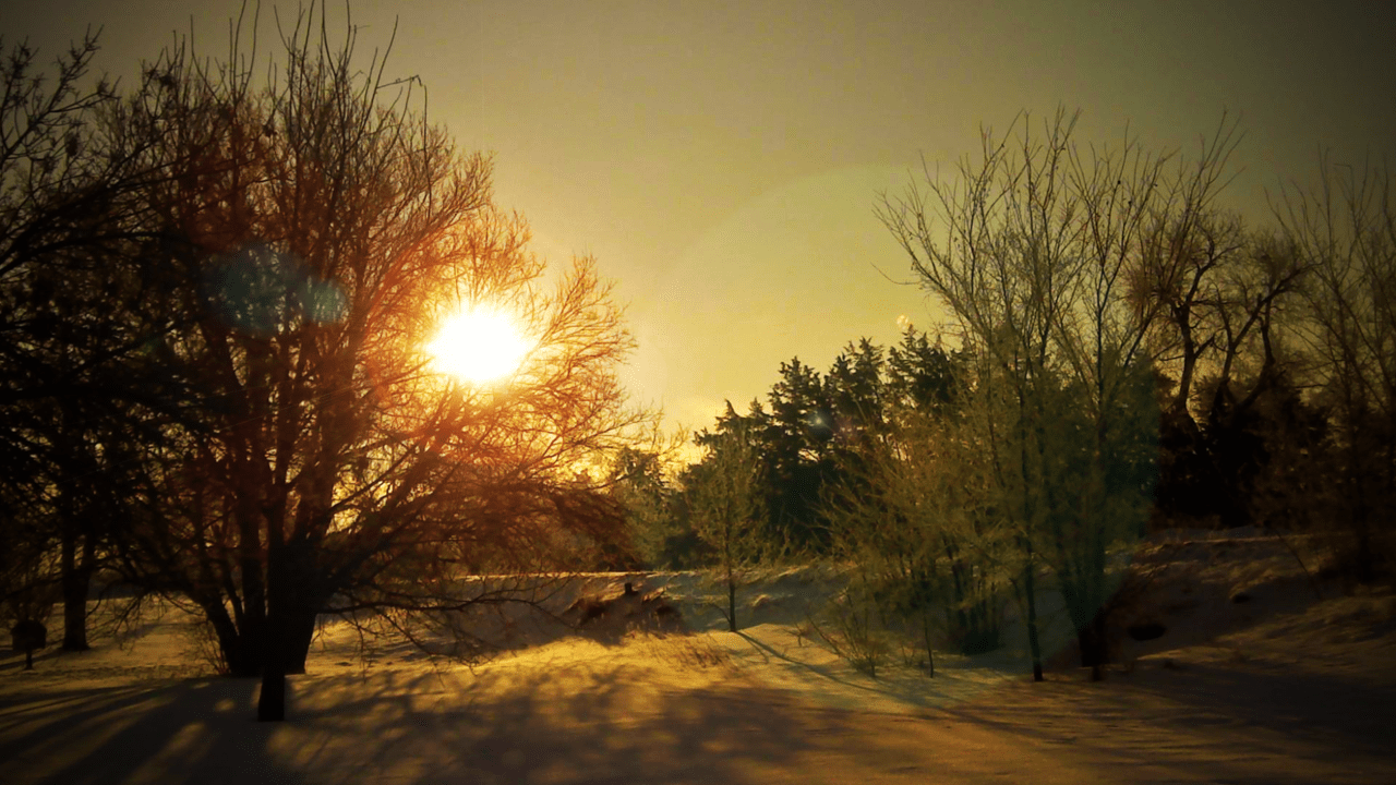 Summer Morning Wallpapers - Top Free Summer Morning Backgrounds ...