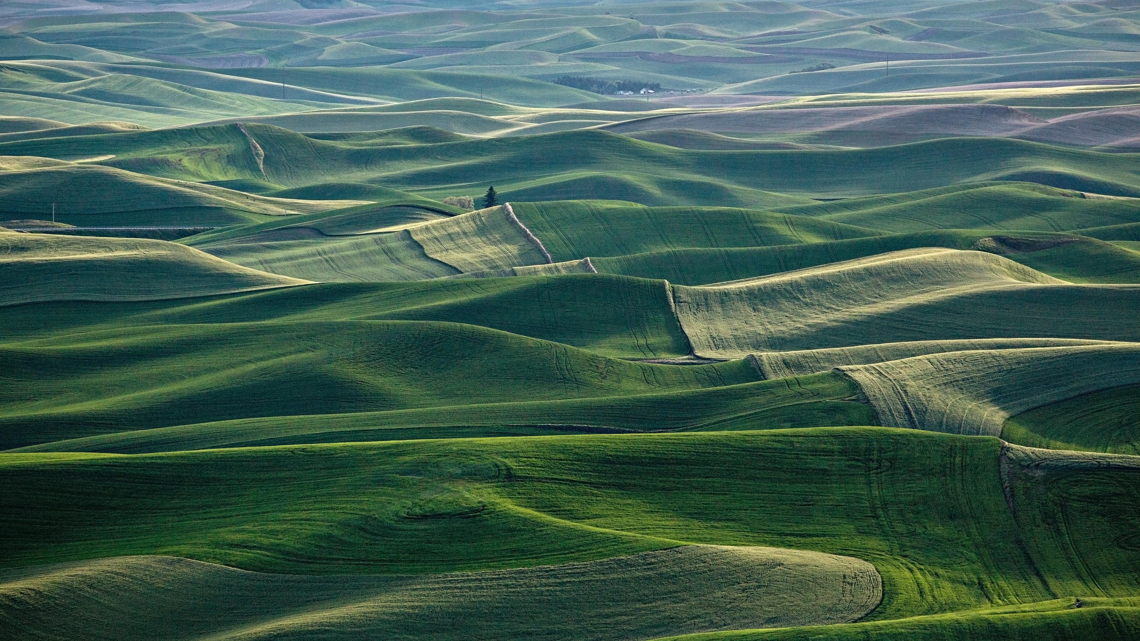 Field of Grass Wallpapers - Top Free Field of Grass Backgrounds ...