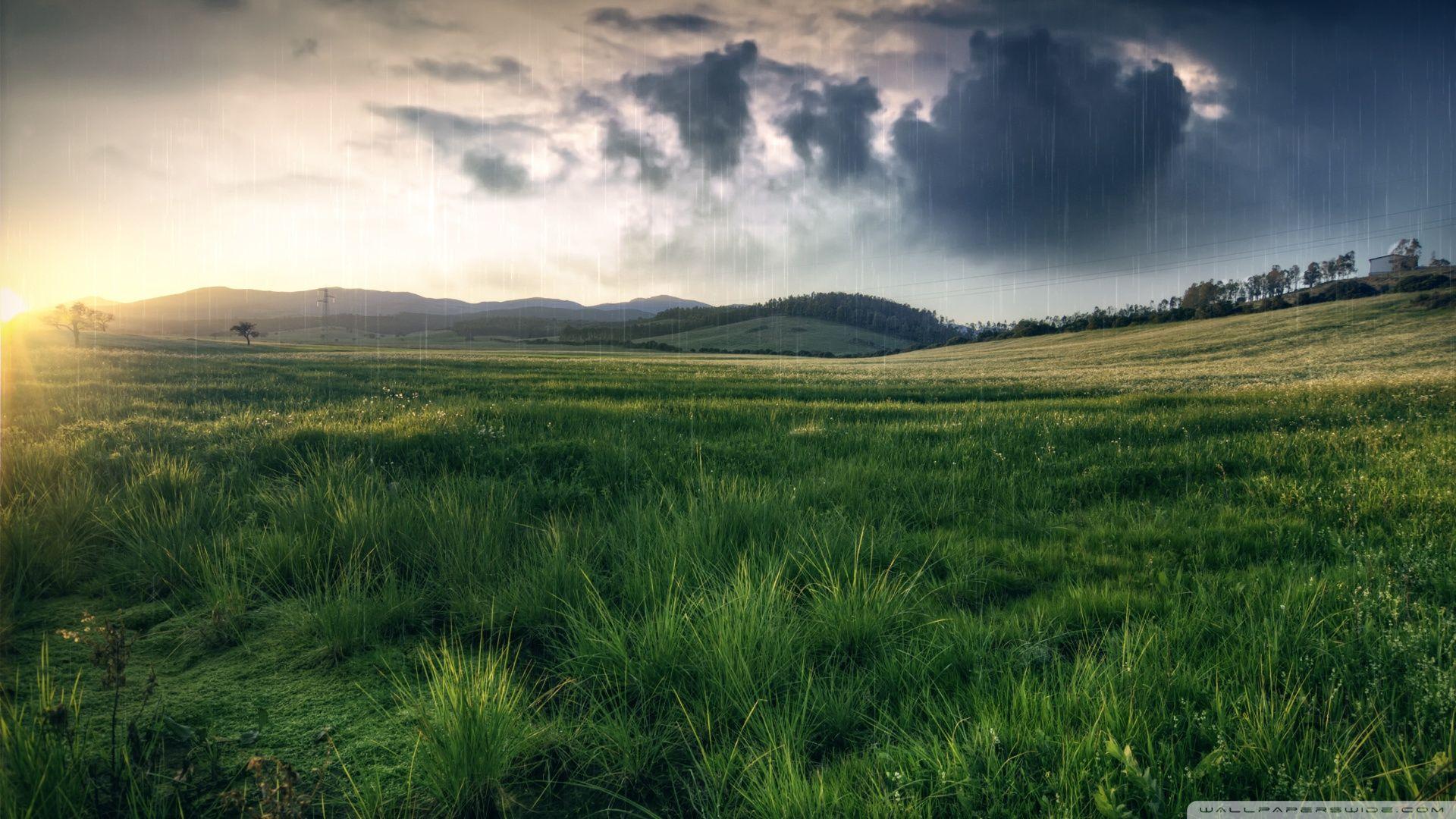 Cartoon Rain Cloud Wallpapers - Top Free Cartoon Rain Cloud Backgrounds ...