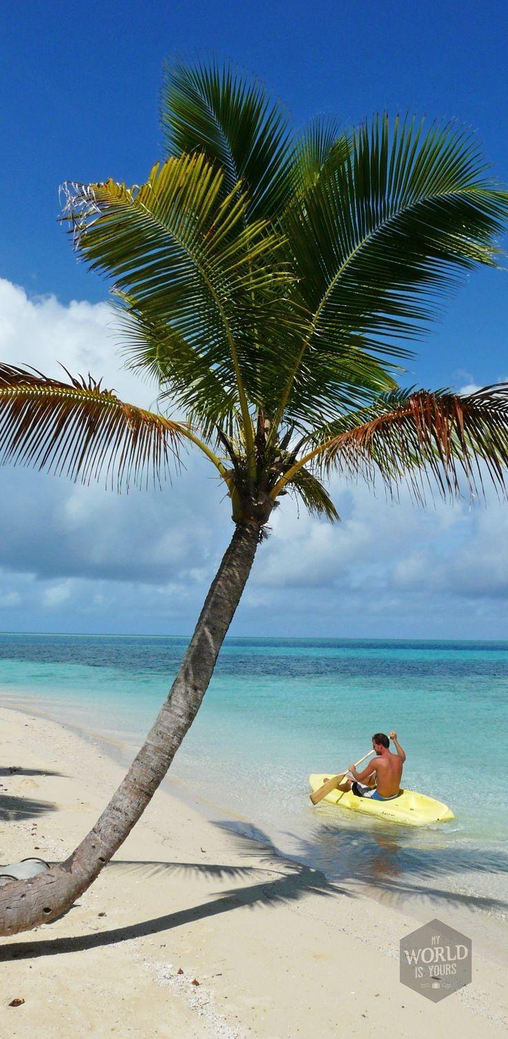 Fiji Desktop Wallpapers - Top Free Fiji Desktop Backgrounds ...