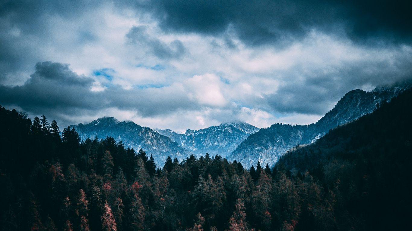 Cloud Forest Wallpapers - Top Free Cloud Forest Backgrounds ...