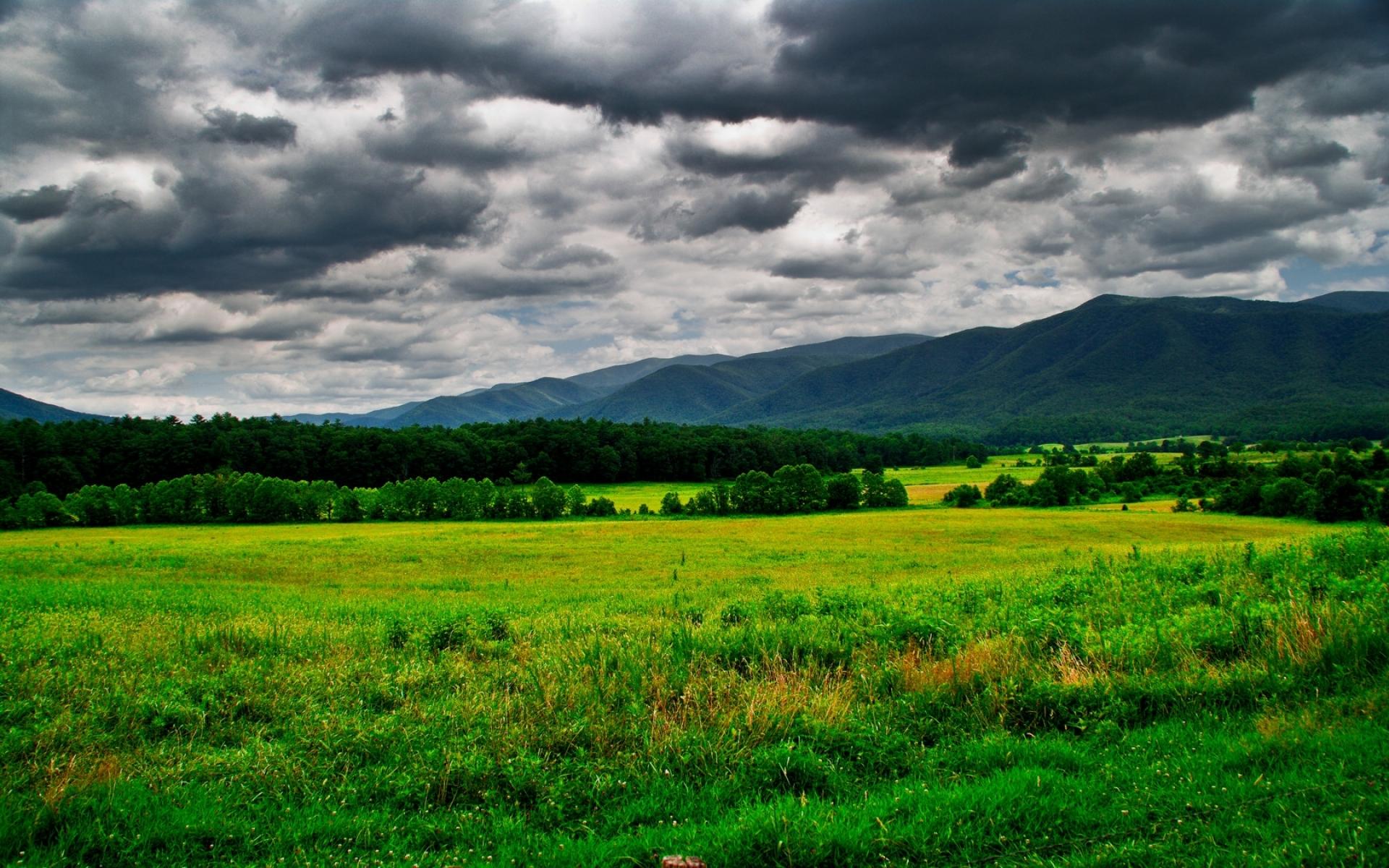 Cloud Forest Wallpapers - Top Free Cloud Forest Backgrounds ...