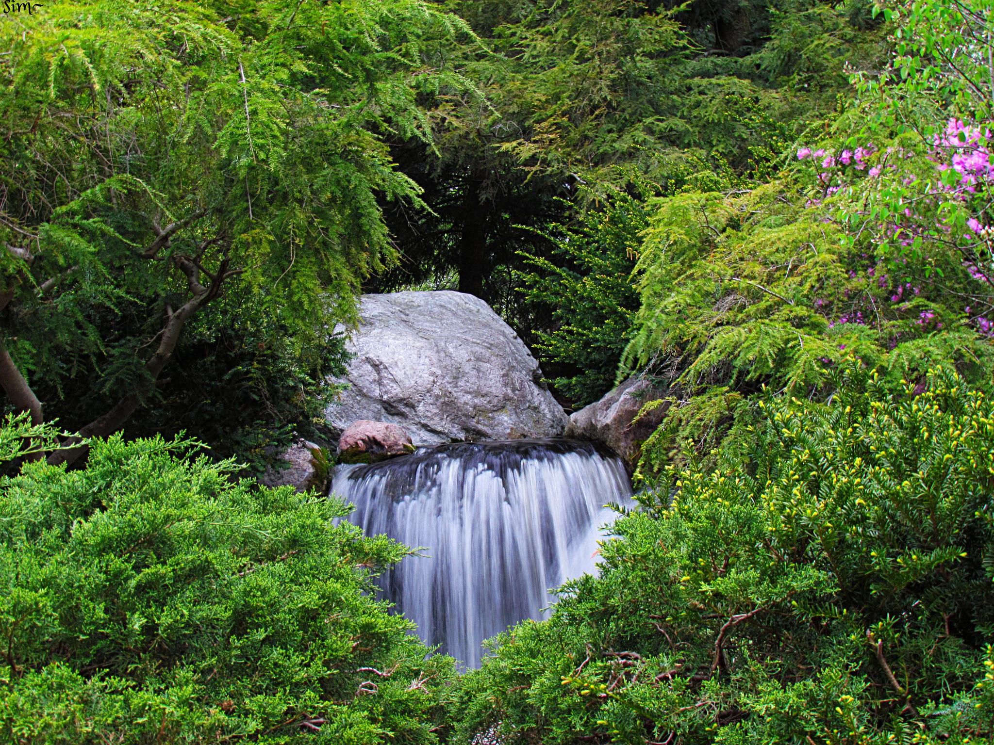 Michigan Forest Wallpapers - Top Free Michigan Forest Backgrounds ...