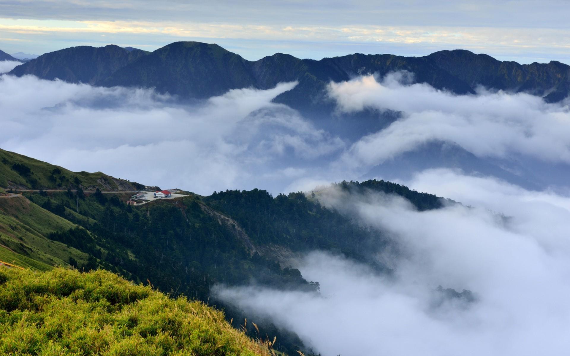 Cloud Forest Wallpapers - Top Free Cloud Forest Backgrounds ...