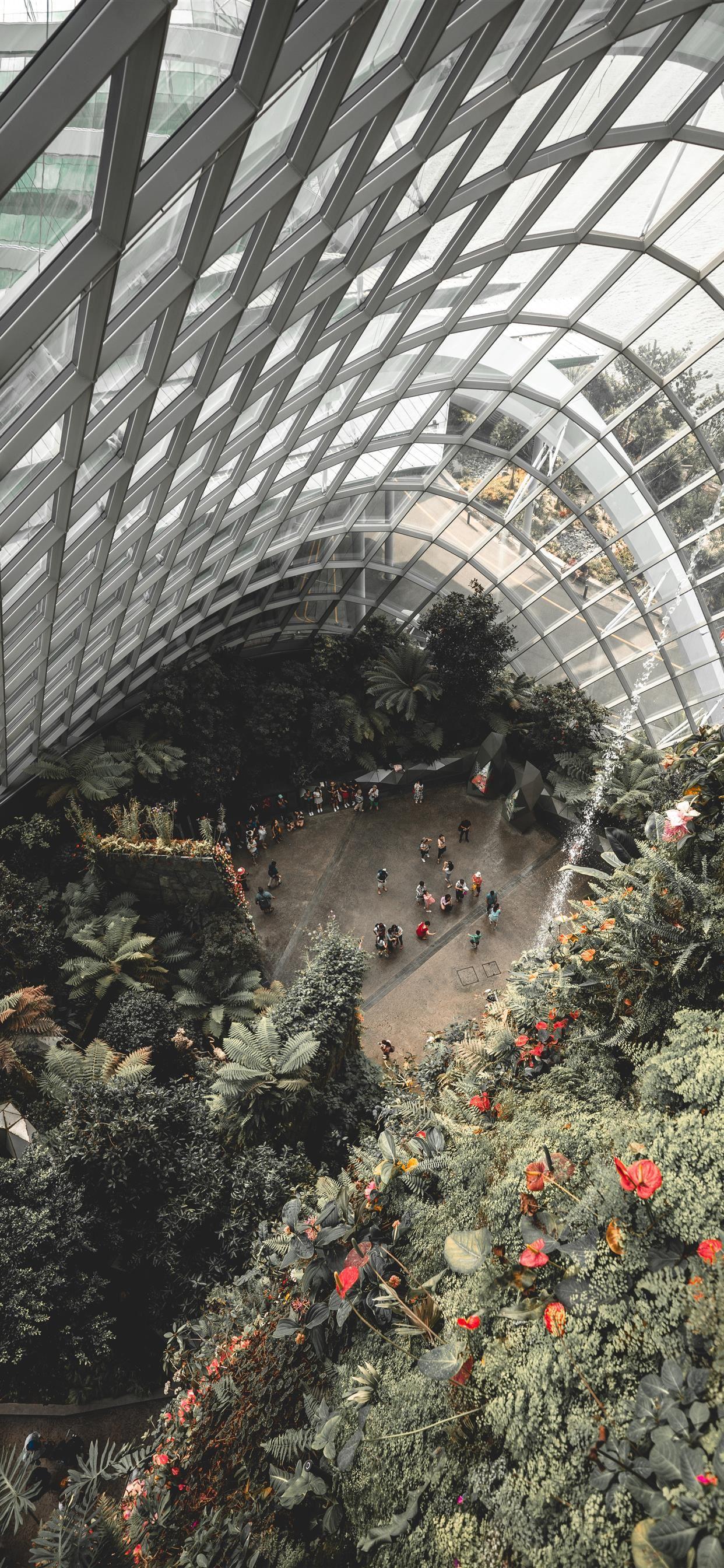 Cloud Forest Wallpapers - Top Free Cloud Forest Backgrounds ...