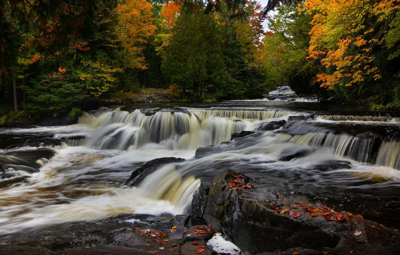 Michigan Forest Wallpapers - Top Free Michigan Forest Backgrounds ...