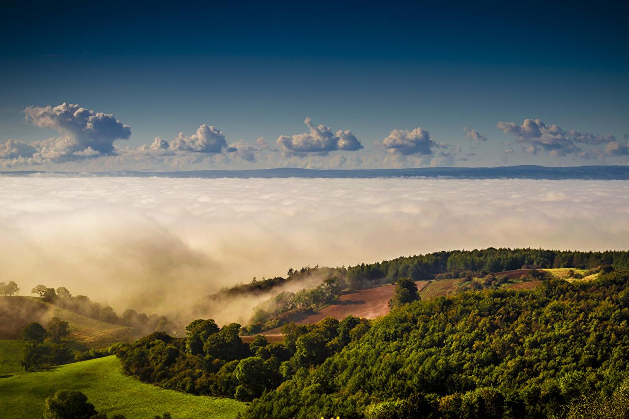 Cloud Forest Wallpapers - Top Free Cloud Forest Backgrounds ...
