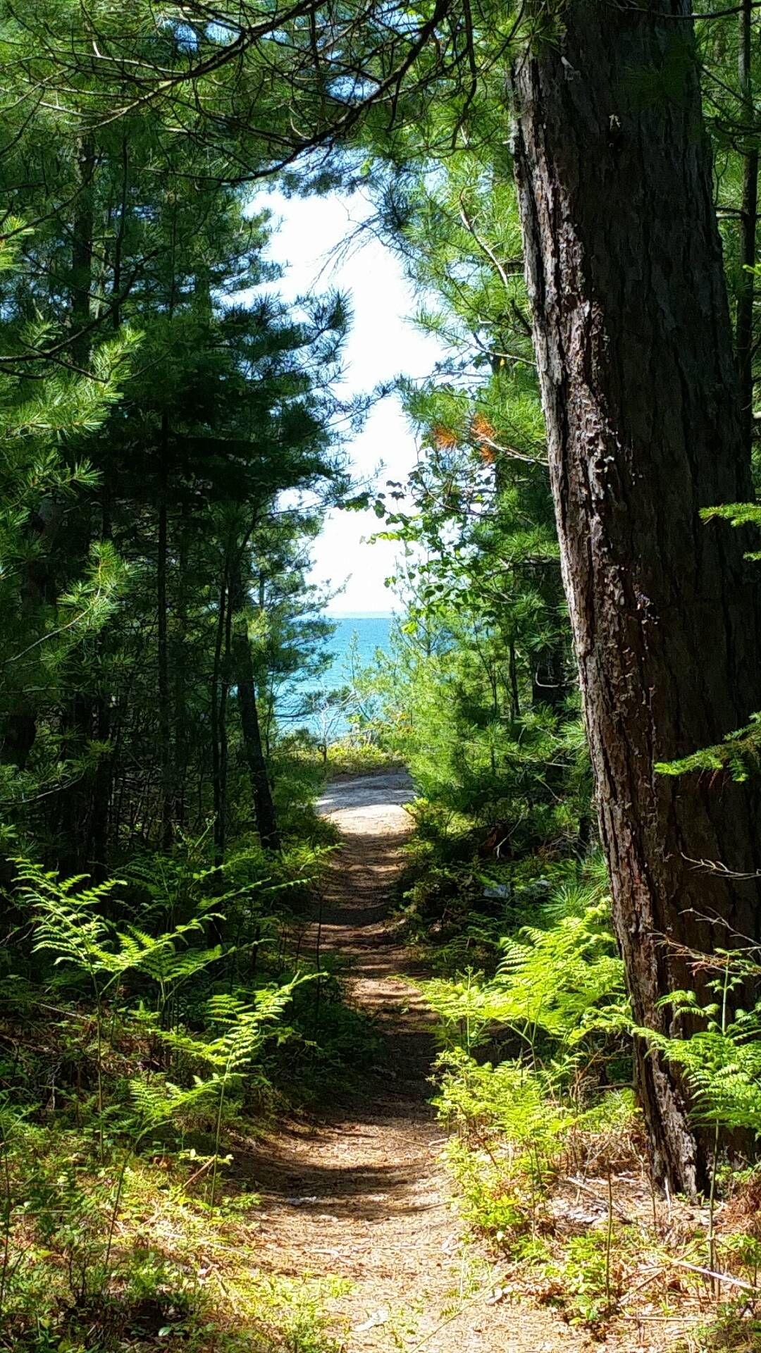 Michigan Nature Wallpapers - Top Free Michigan Nature Backgrounds ...