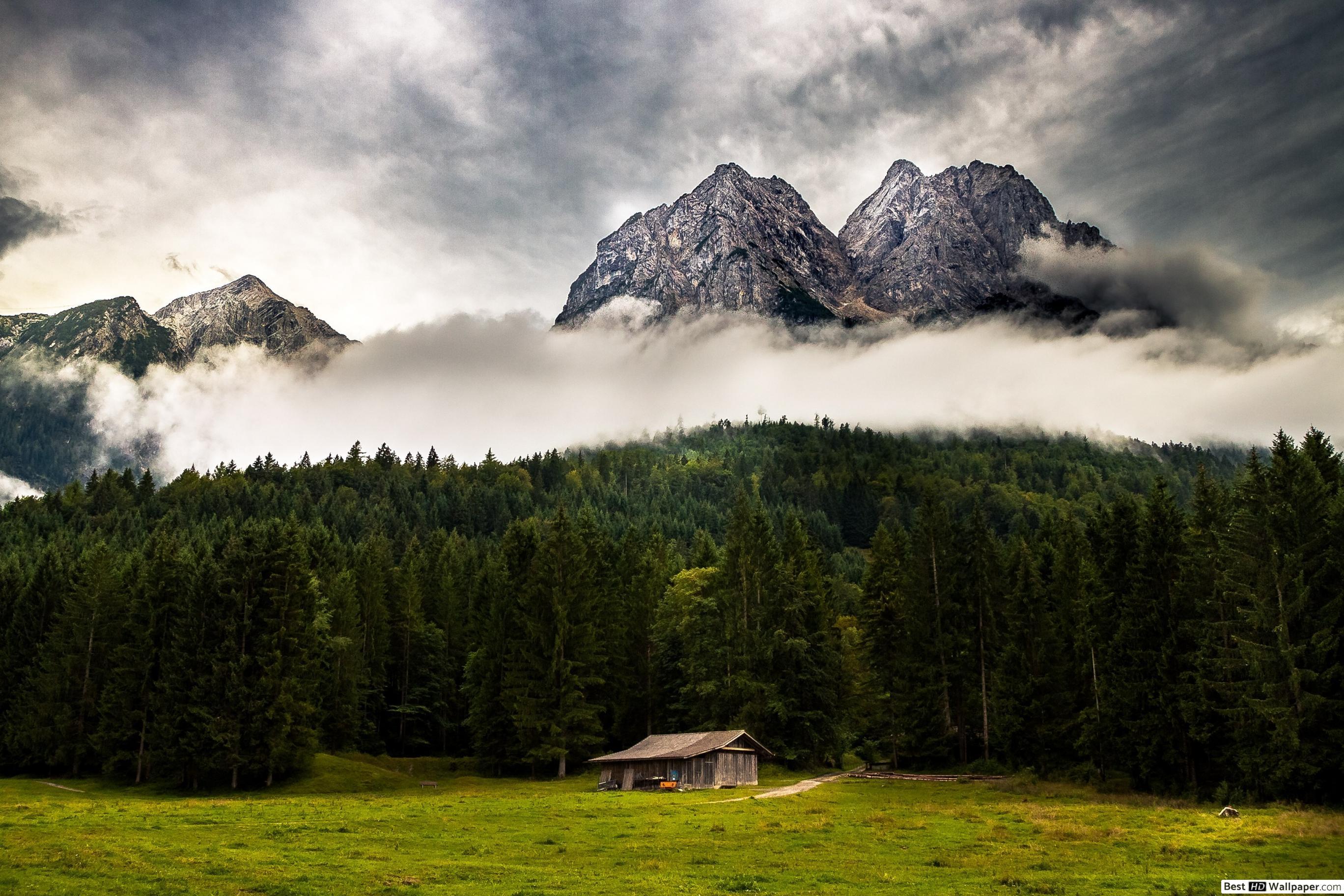 Cloud Forest Wallpapers - Top Free Cloud Forest Backgrounds ...