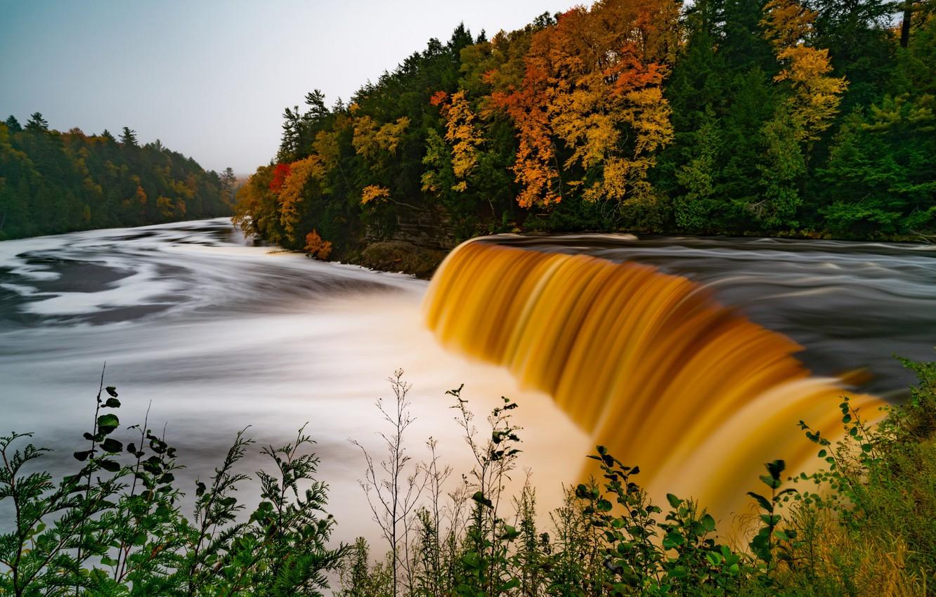 Michigan Forest Wallpapers - Top Free Michigan Forest Backgrounds ...