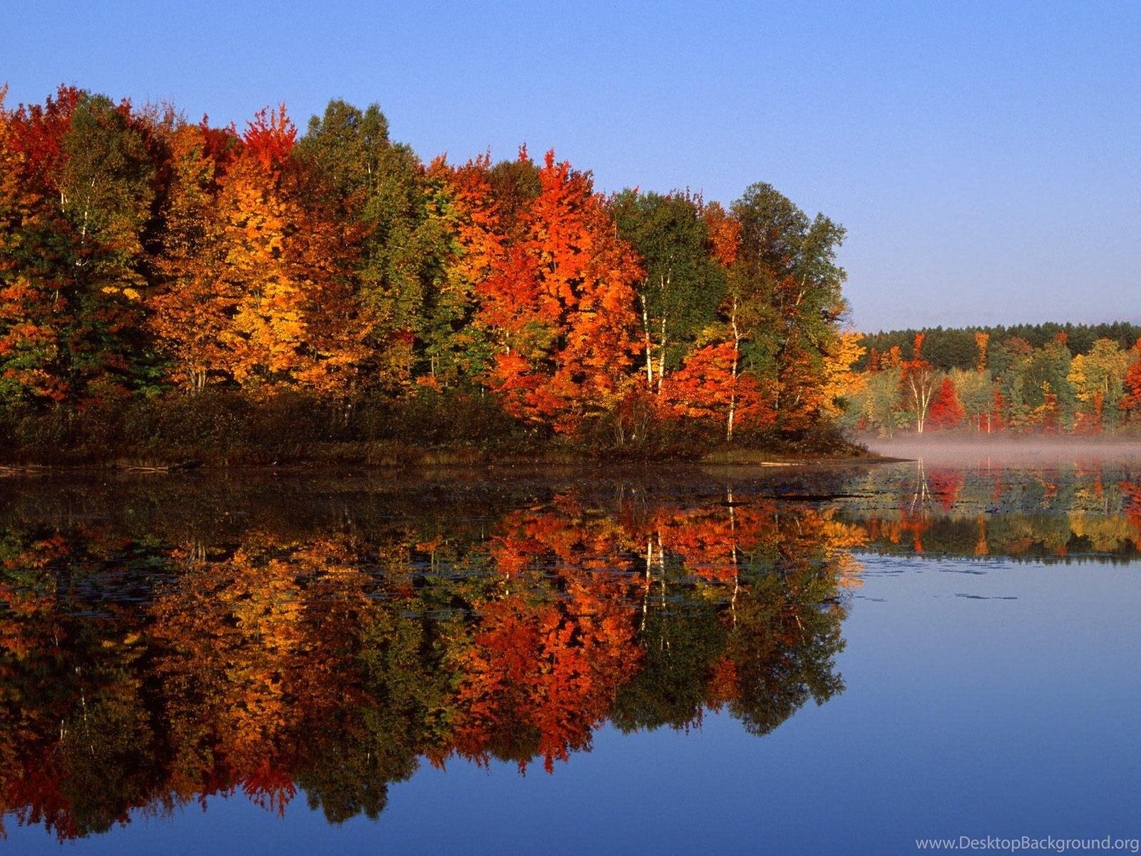 Michigan Forest Wallpapers - Top Free Michigan Forest Backgrounds ...