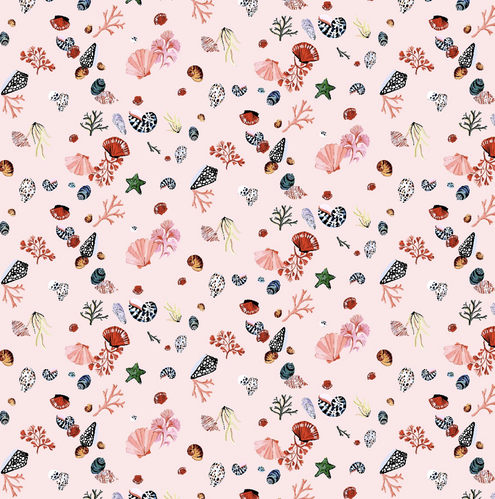 Pink Seashell Wallpapers - Top Free Pink Seashell Backgrounds ...