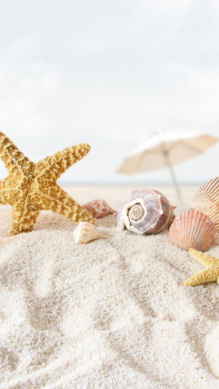 Pink Seashell Wallpapers - Top Free Pink Seashell Backgrounds ...