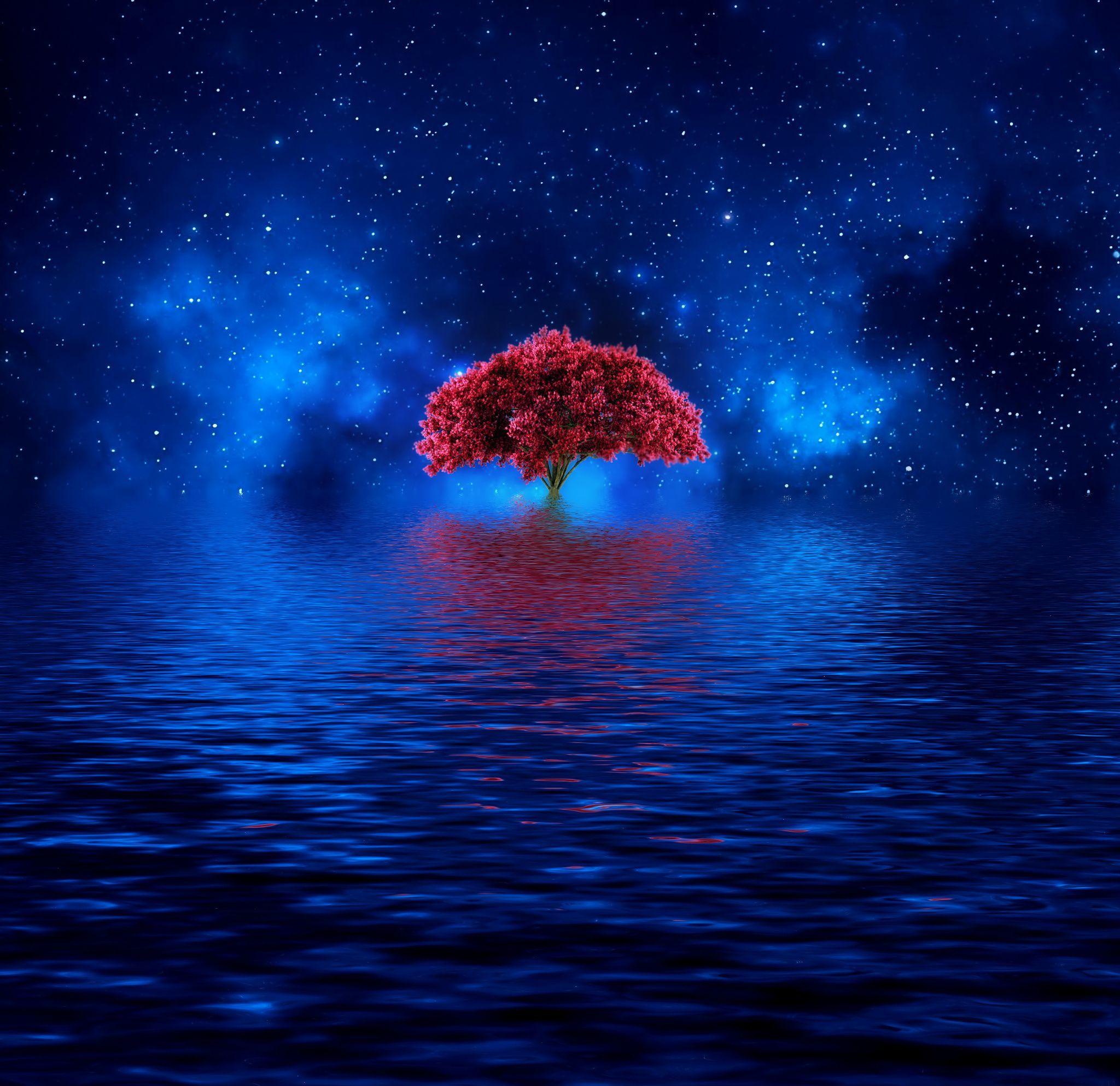 500Px Wallpapers - Top Free 500Px Backgrounds - WallpaperAccess