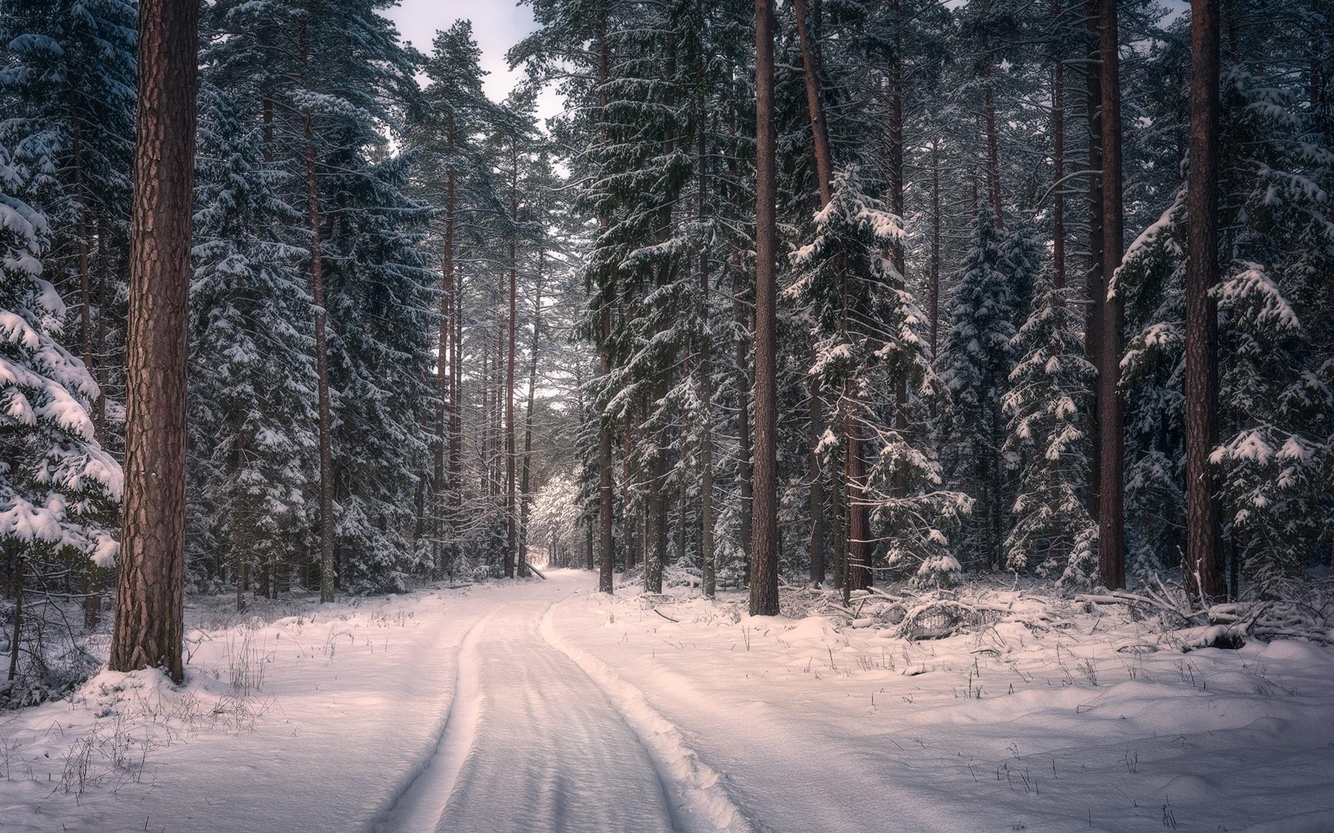 Poland Winter Wallpapers - Top Free Poland Winter Backgrounds ...