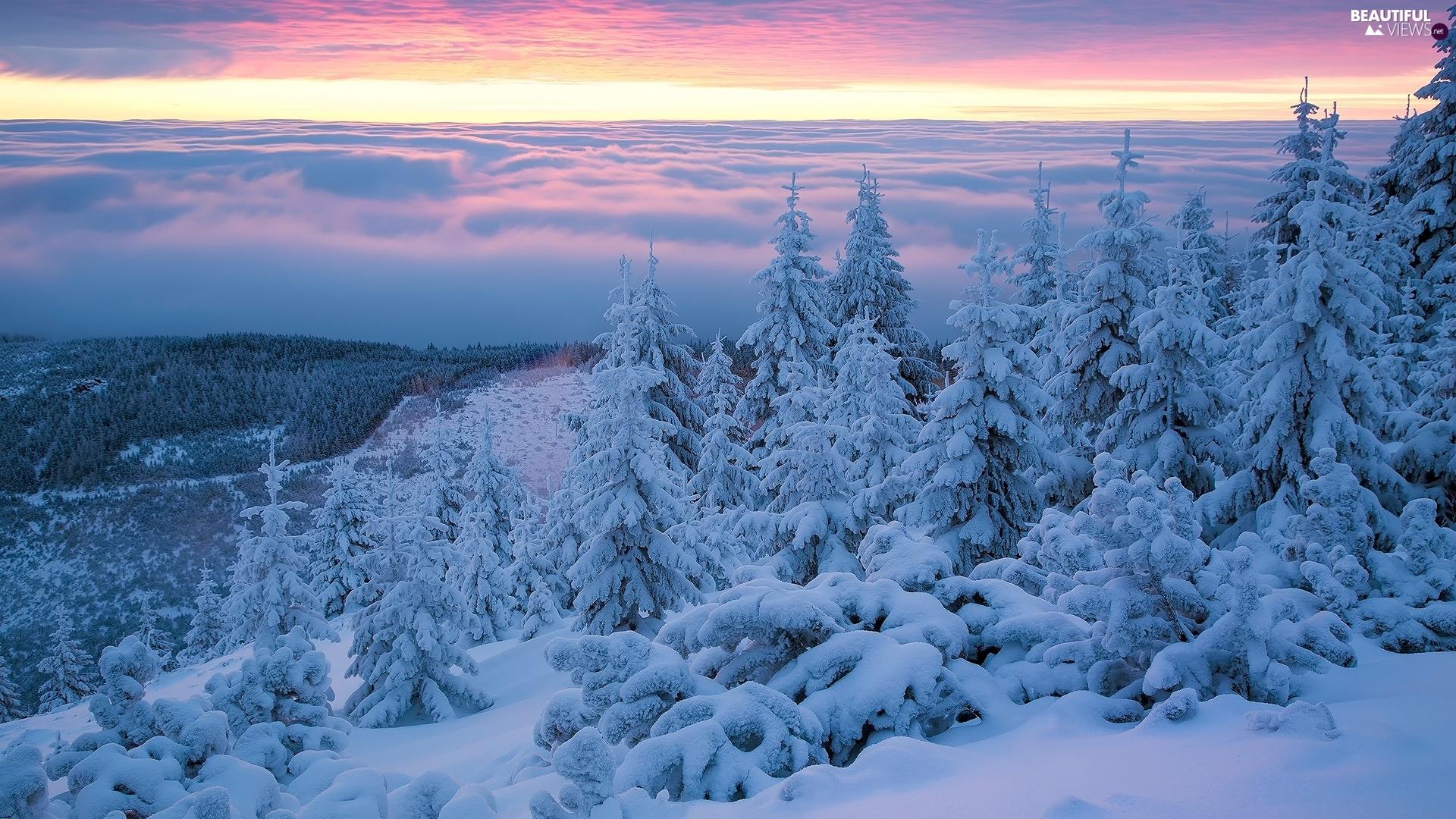Poland Winter Wallpapers - Top Free Poland Winter Backgrounds ...