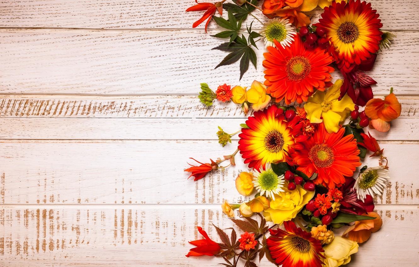 Autumn Floral Wallpapers - Top Free Autumn Floral Backgrounds ...