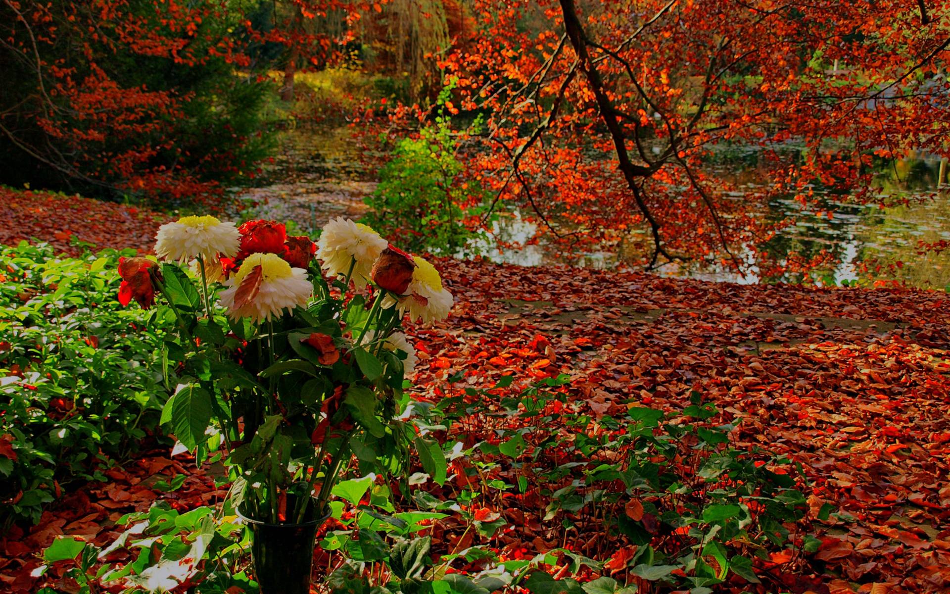 Autumn Floral Wallpapers - Top Free Autumn Floral Backgrounds ...