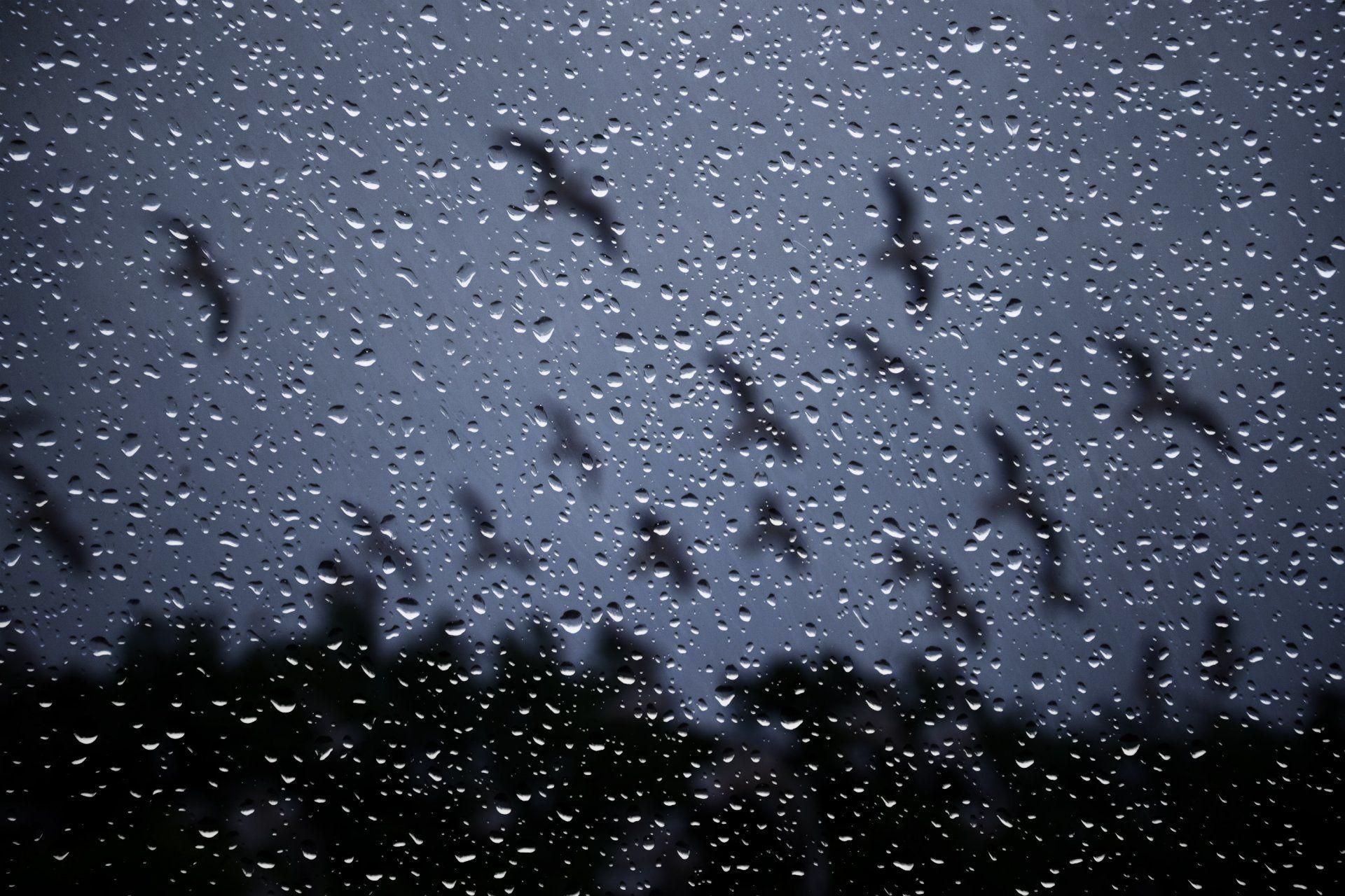 Rain On Glass Wallpapers - Top Free Rain On Glass Backgrounds ...
