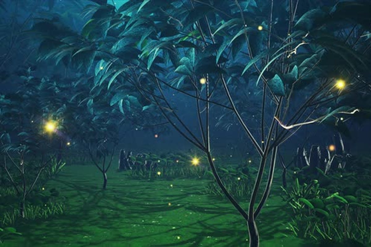 Magical Night Forest Wallpapers - Top Free Magical Night Forest Backgrounds - WallpaperAccess