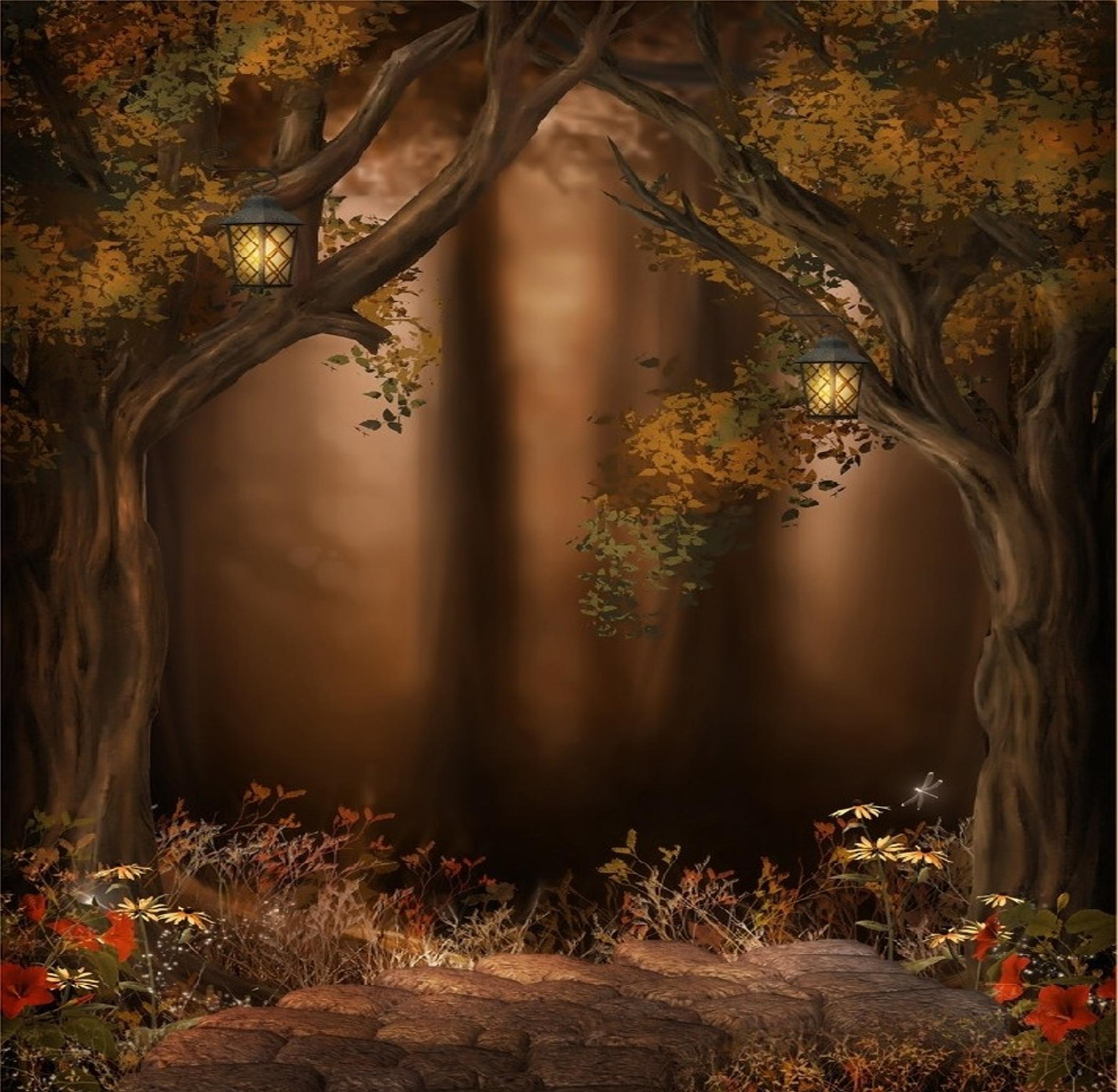 Magical Night Forest Wallpapers - Top Free Magical Night Forest ...