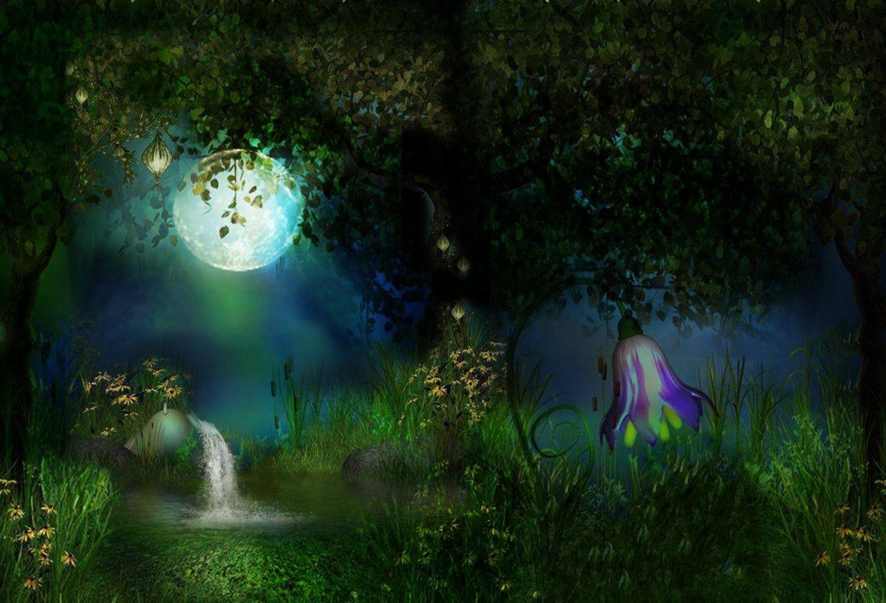 Magical Night Forest Wallpapers - Top Free Magical Night Forest ...