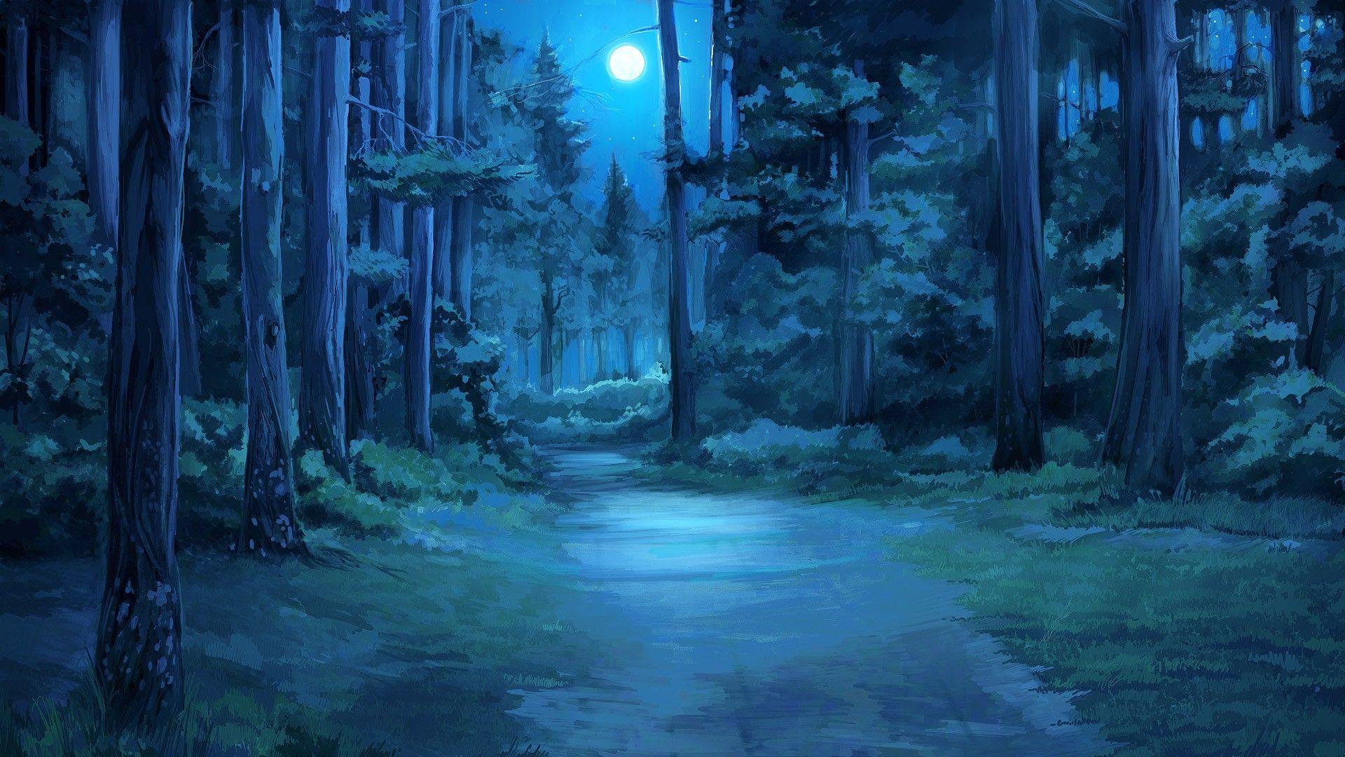 Magical Night Forest Wallpapers - Top Free Magical Night Forest ...