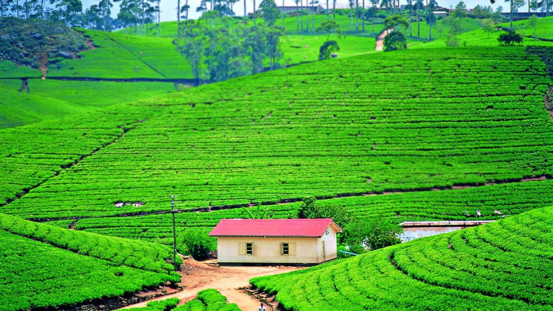 Sri Lanka Nature Wallpapers - Top Free Sri Lanka Nature Backgrounds ...