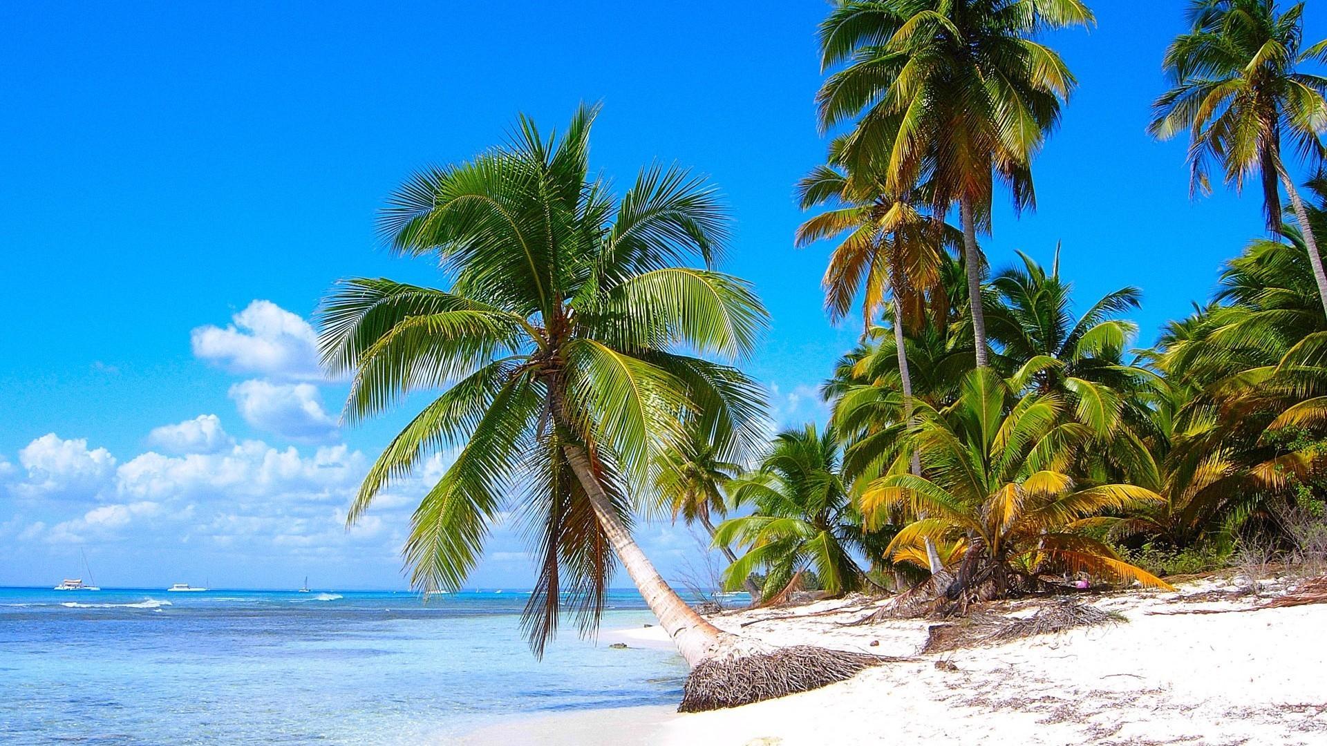 Caribbean Scenery Wallpapers - Top Free Caribbean Scenery Backgrounds ...