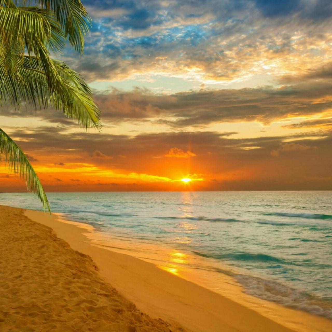 Caribbean Scenery Wallpapers - Top Free Caribbean Scenery Backgrounds ...